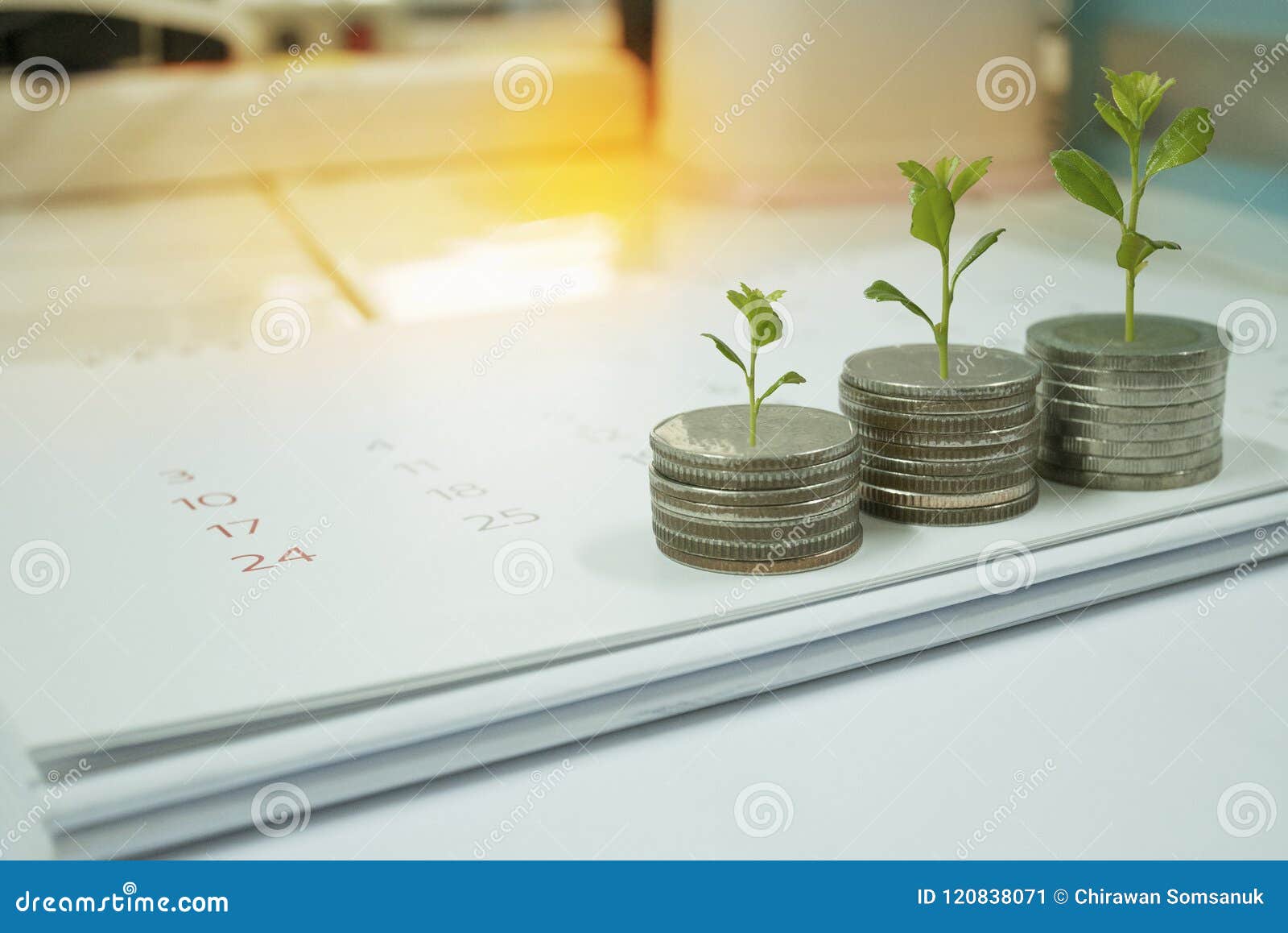 Coin with Tree in Mutual Funds Concept. Stock Image - Image of banking ...