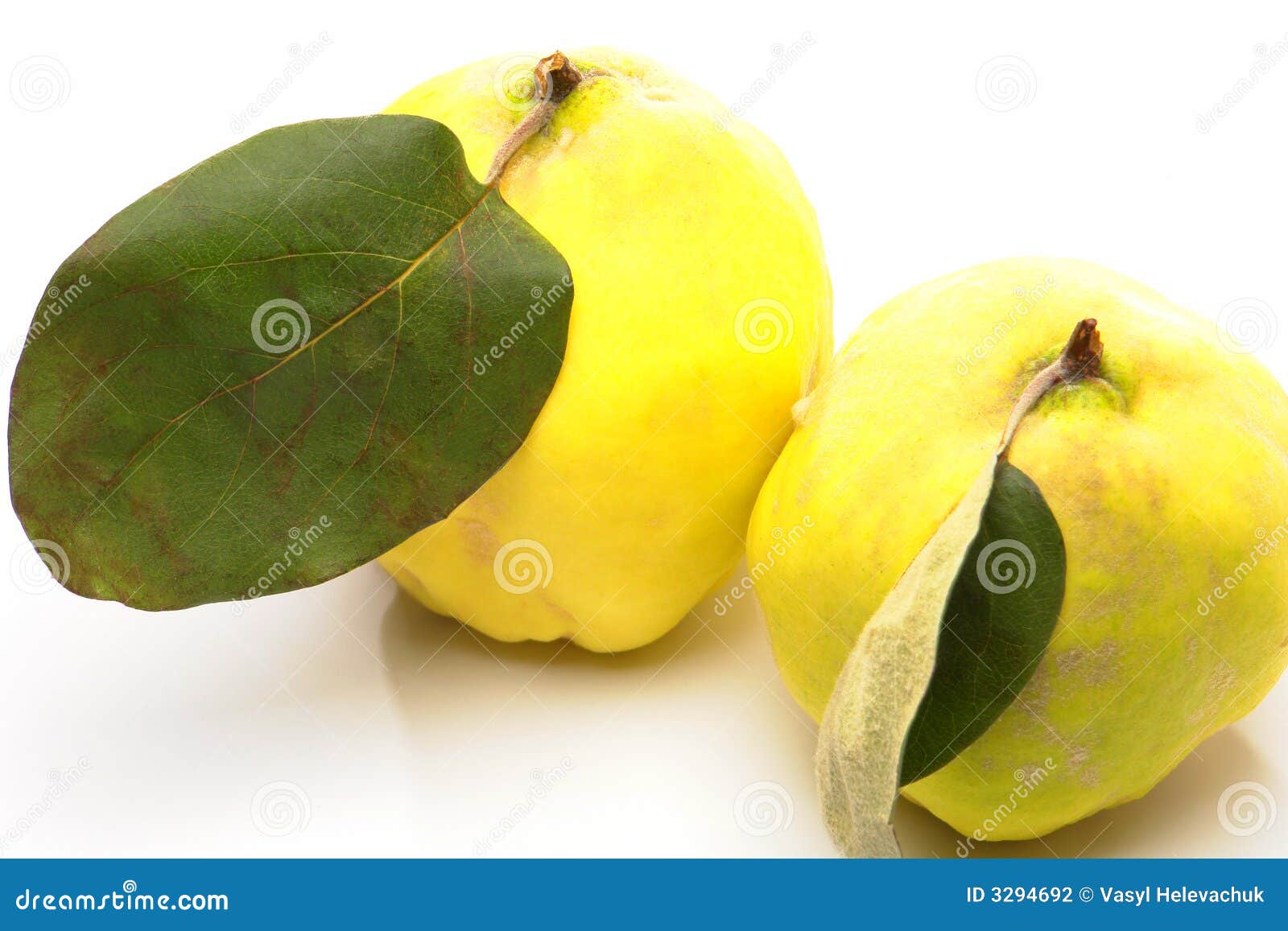 Coing photo stock. Image du coing, couleur, alimentation - 3294692