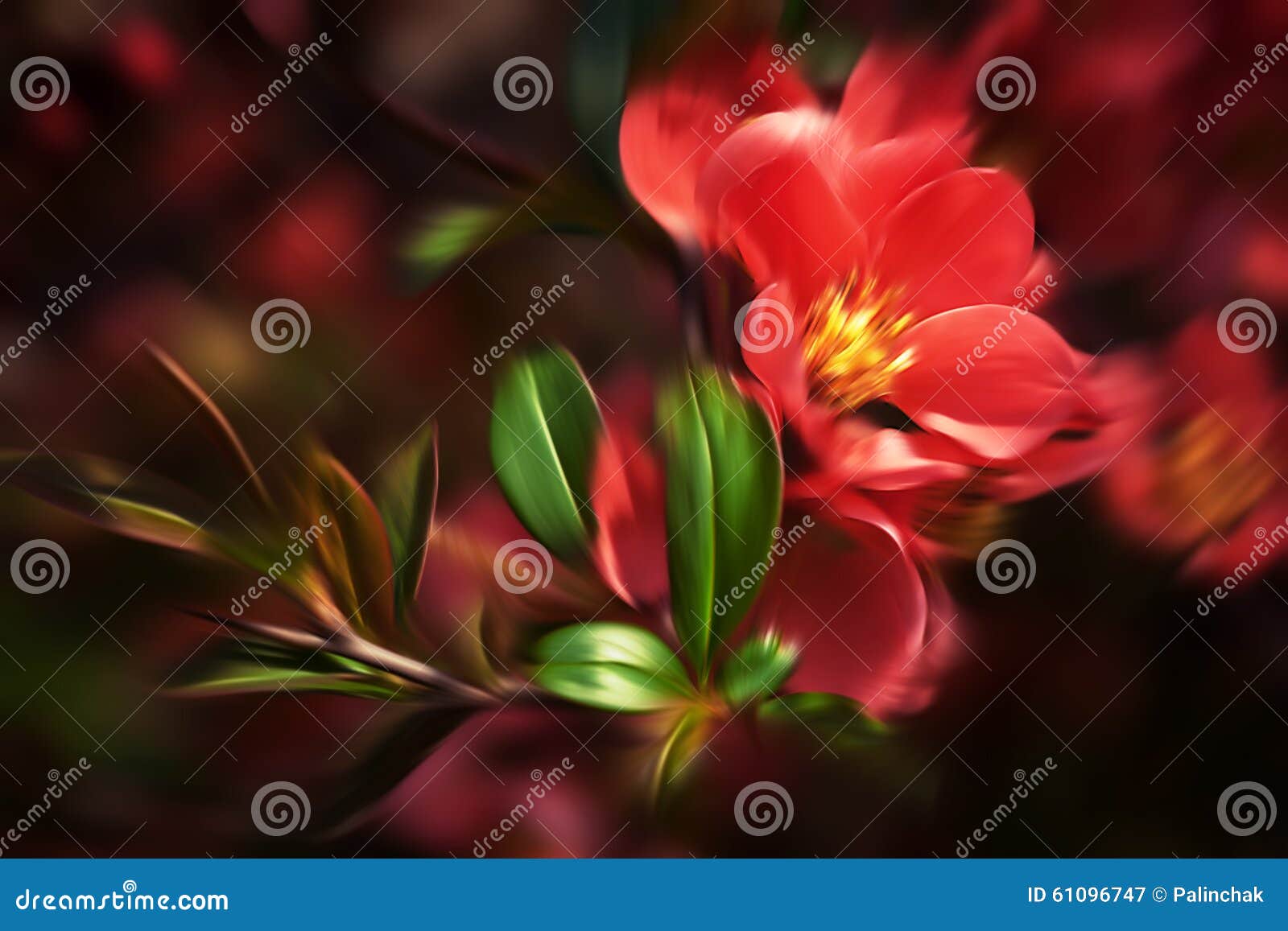 Coing fleurissant rouge illustration stock. Illustration du floral ...
