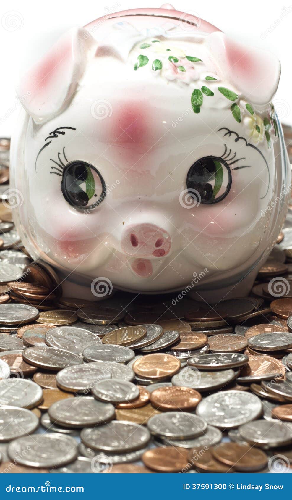 Coins and Bank stock photo. Image of collection, deposit - 37591300