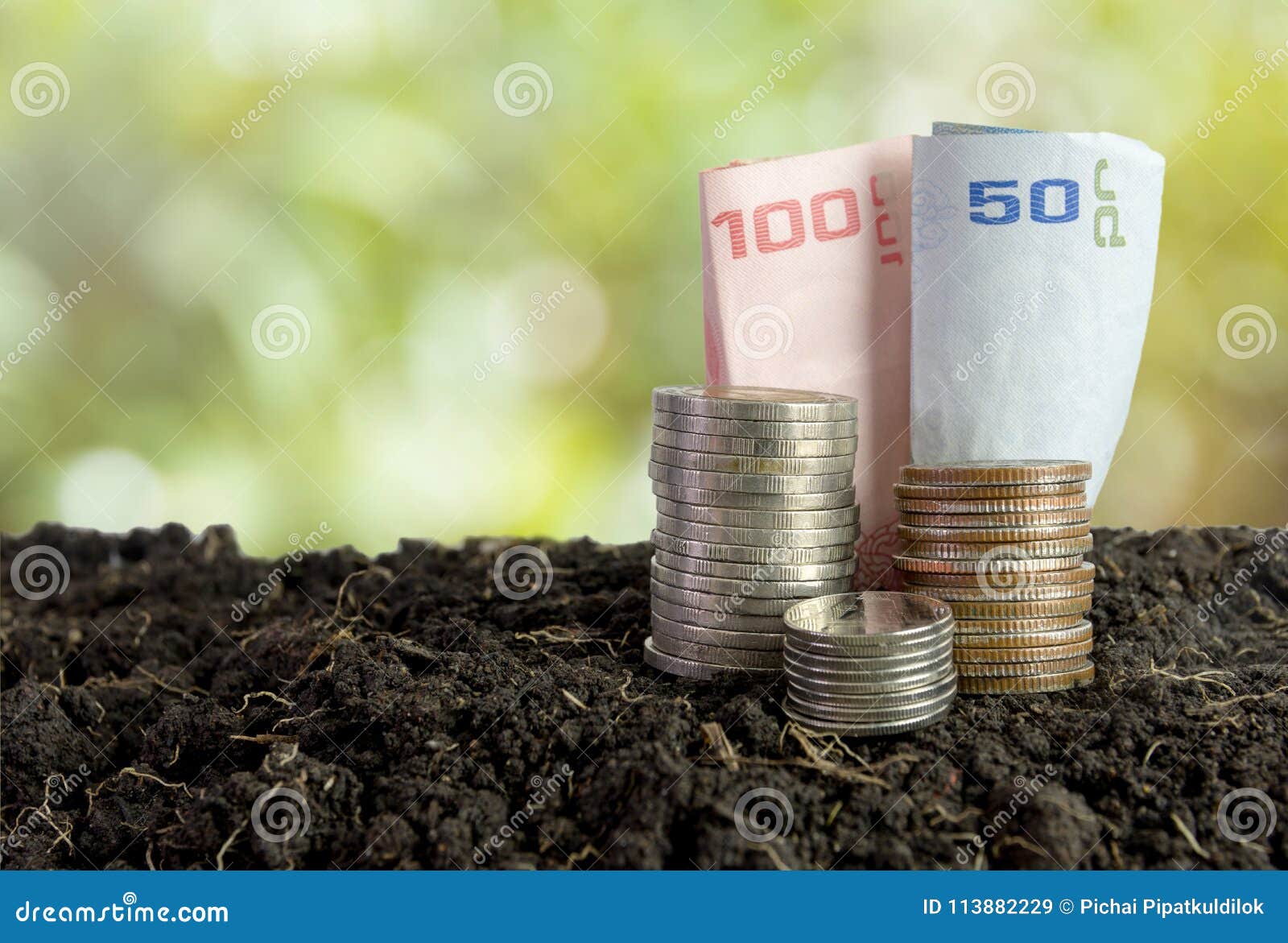 Coins and Bank Note in Soil, Saving Money Concept Stock Image - Image ...