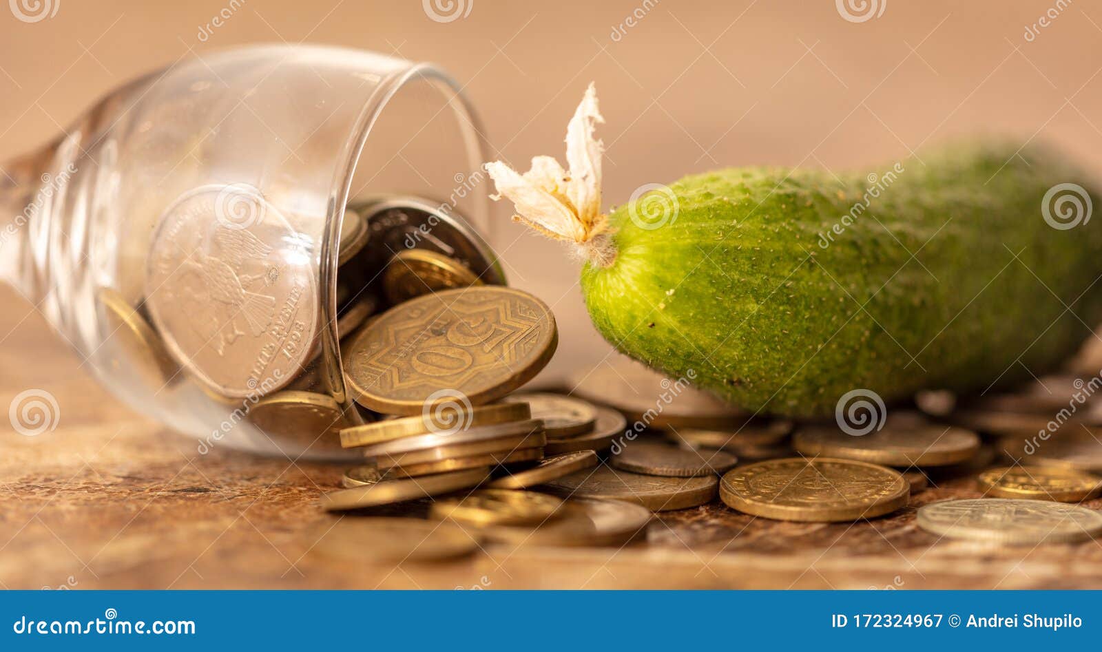 Coins in a Glass Cup in Cucumbers Stock Image - Image of cucumber ...