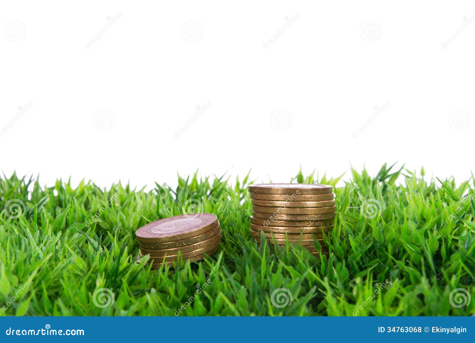 Coins on Grass stock photo. Image of scales, economy - 34763068
