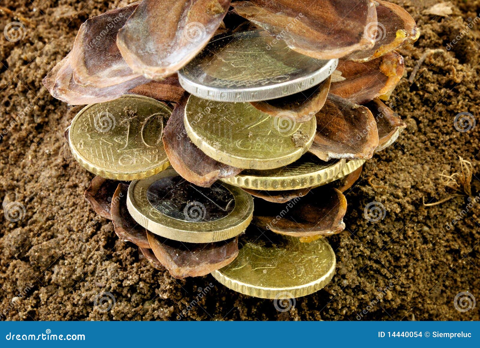 Coins grow concept stock photo. Image of community, herb - 14440054
