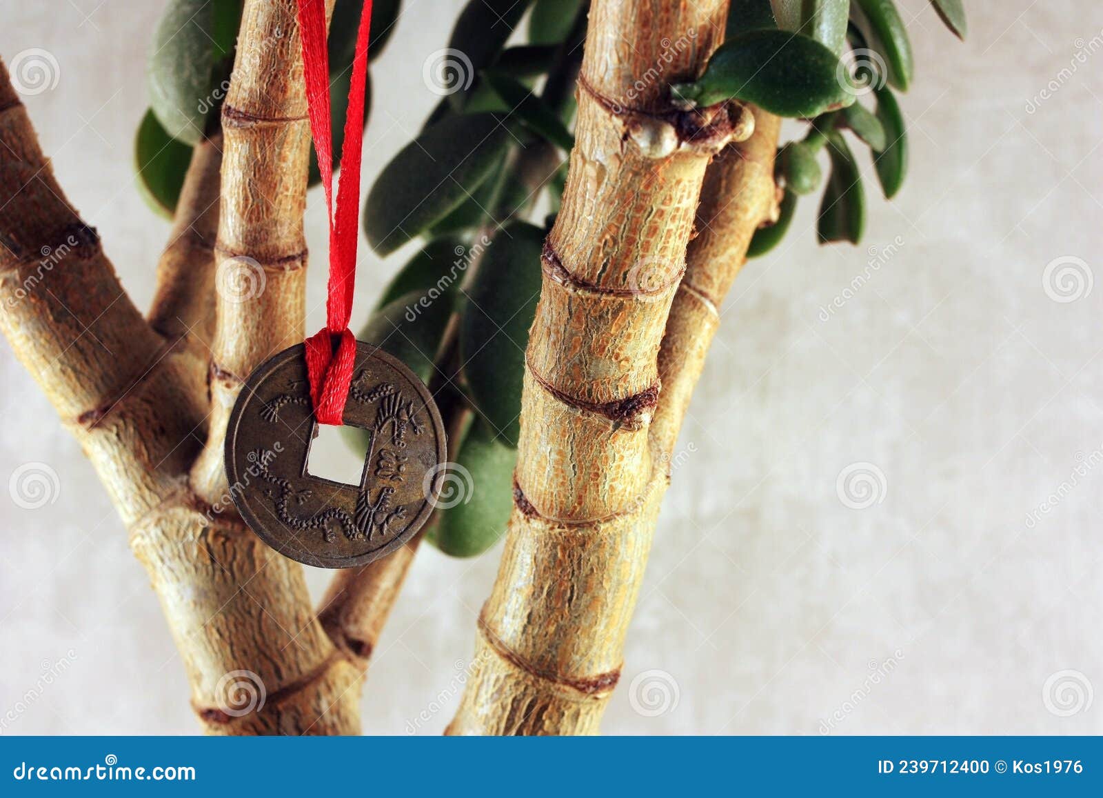 Coin Money Hanging on a Tree Stock Photo - Image of rich, isolated ...