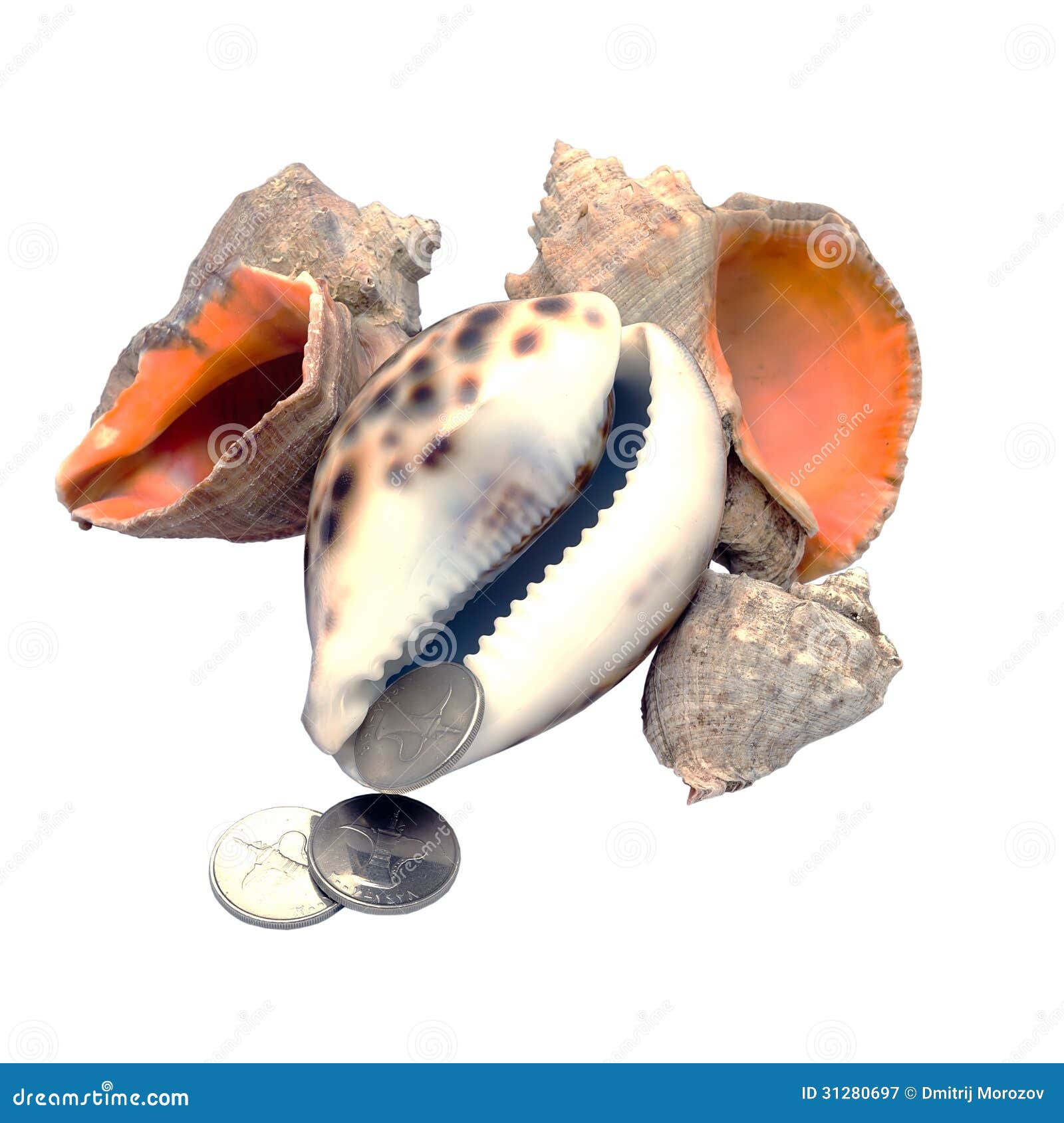 Coins Lying on the Sea Shell Stock Image - Image of seashells ...