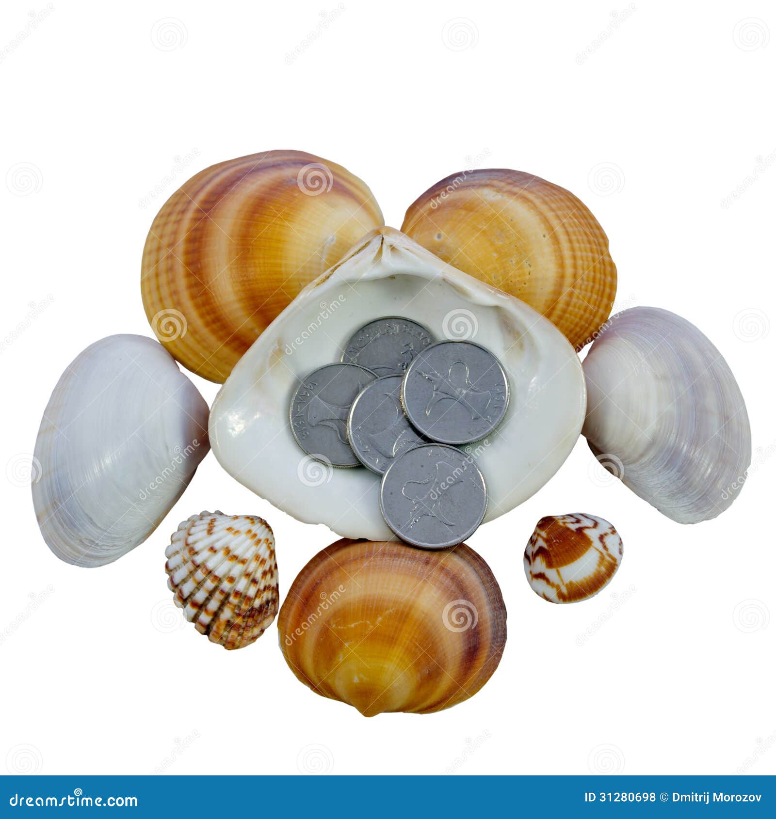 Coins Lying on the Sea Shell Stock Photo - Image of seashell ...