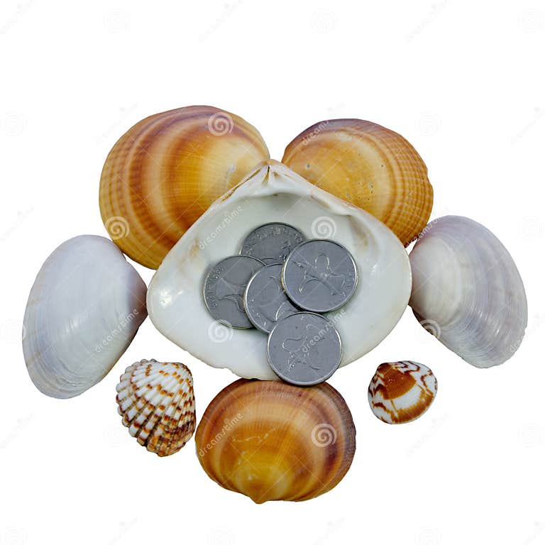 Coins Lying on the Sea Shell Stock Photo - Image of seashell ...