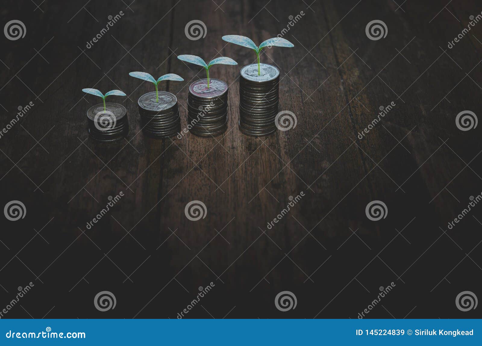 Coins placed in rows stock image. Image of wealth, stacked - 145224839