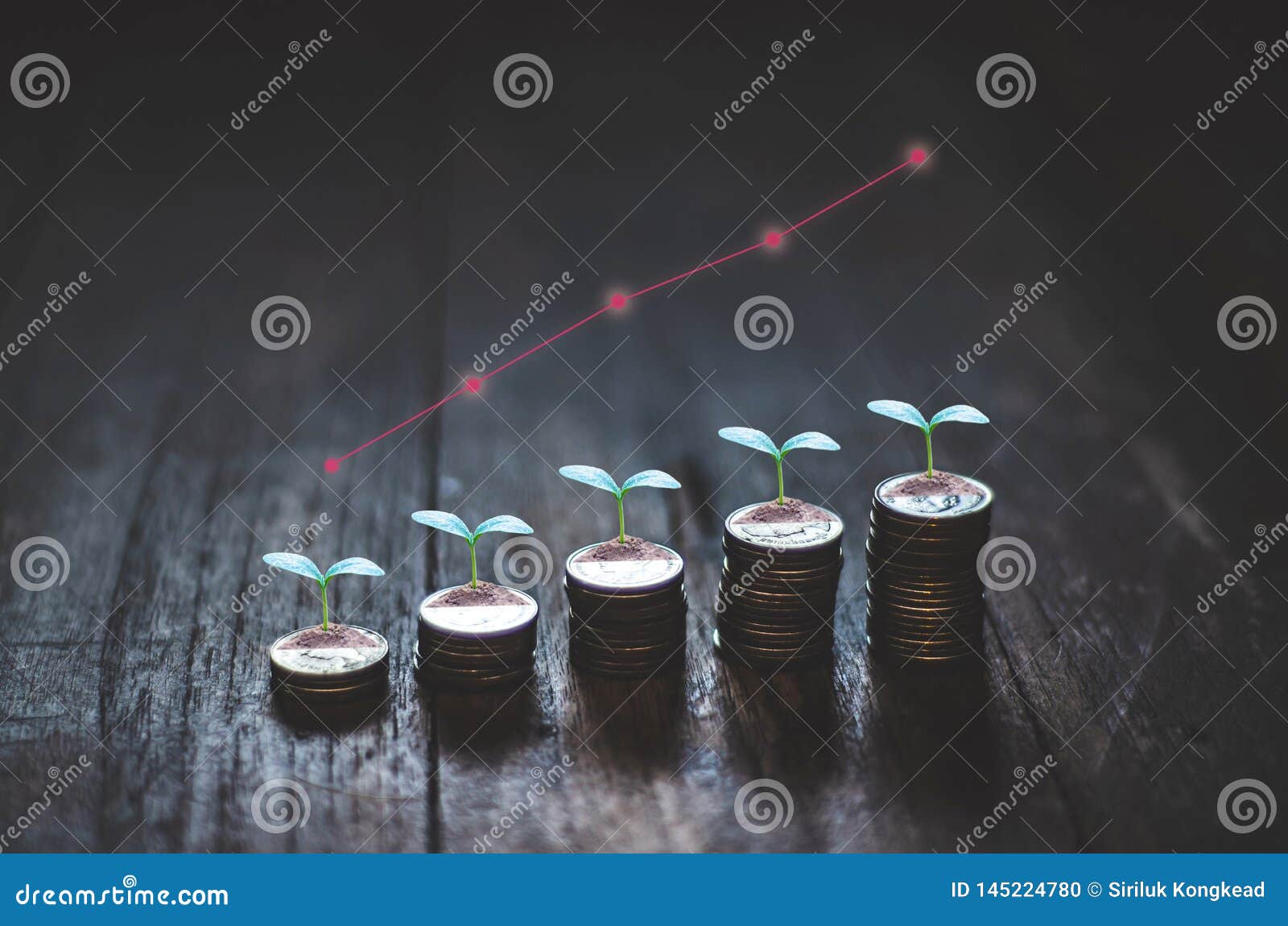 Coins Placed in Rows and Small Trees Stock Photo - Image of invest ...