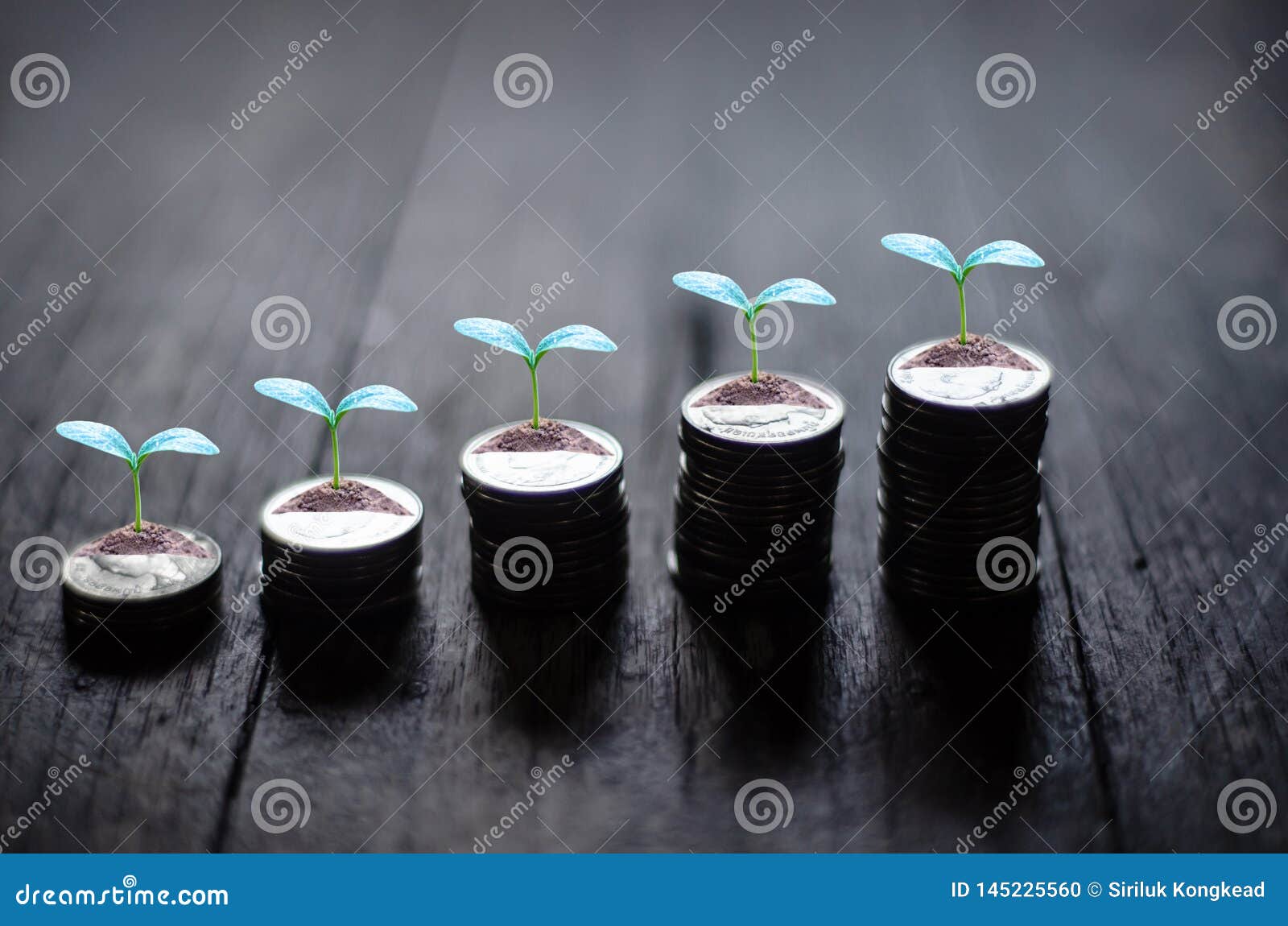 Coins Placed in Rows and Small Trees Stock Photo - Image of sustainable ...