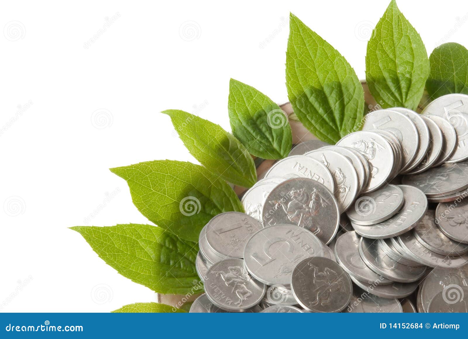 Coins and Plant Leaves Flower Shape Stock Photo - Image of coin ...