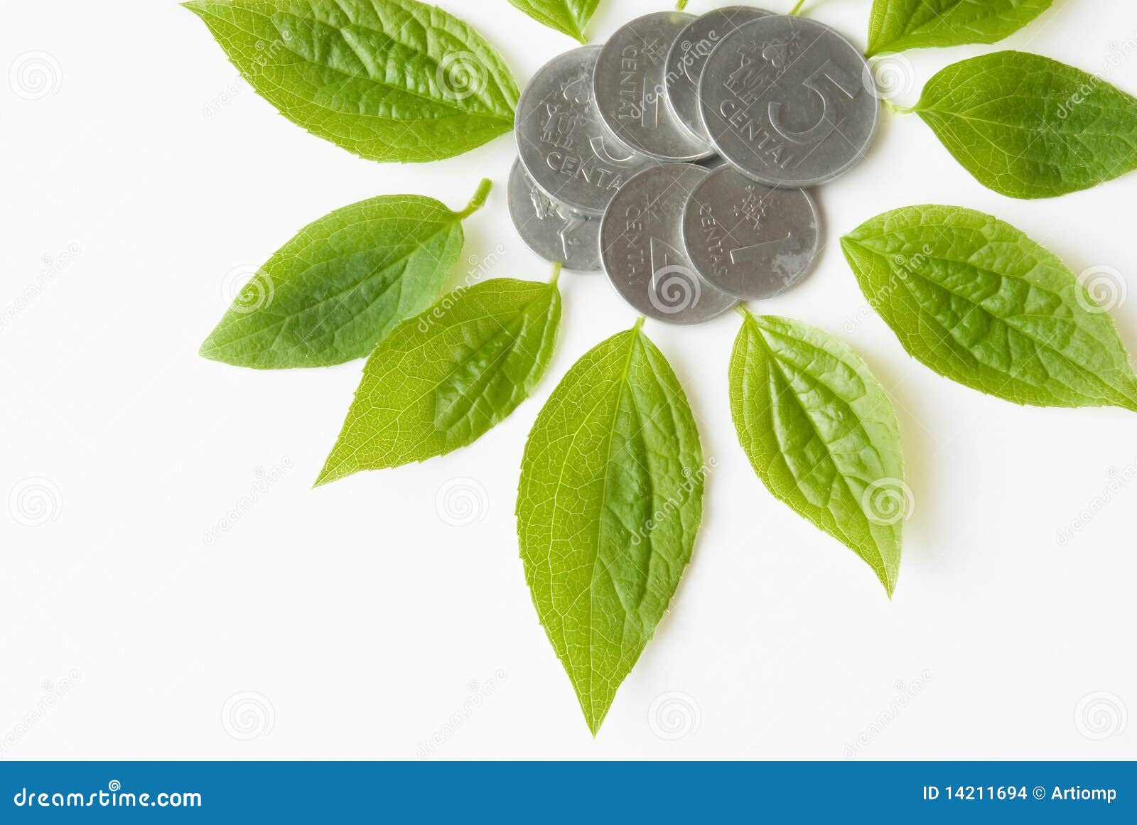 Coins and Plant Leaves Flower Shape Stock Photo - Image of finance ...
