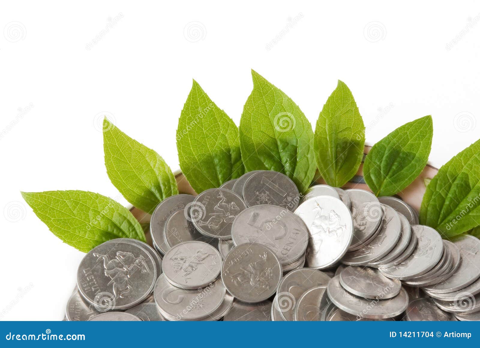 Coins and Plant Leaves Flower Shape Stock Photo - Image of aspirations ...