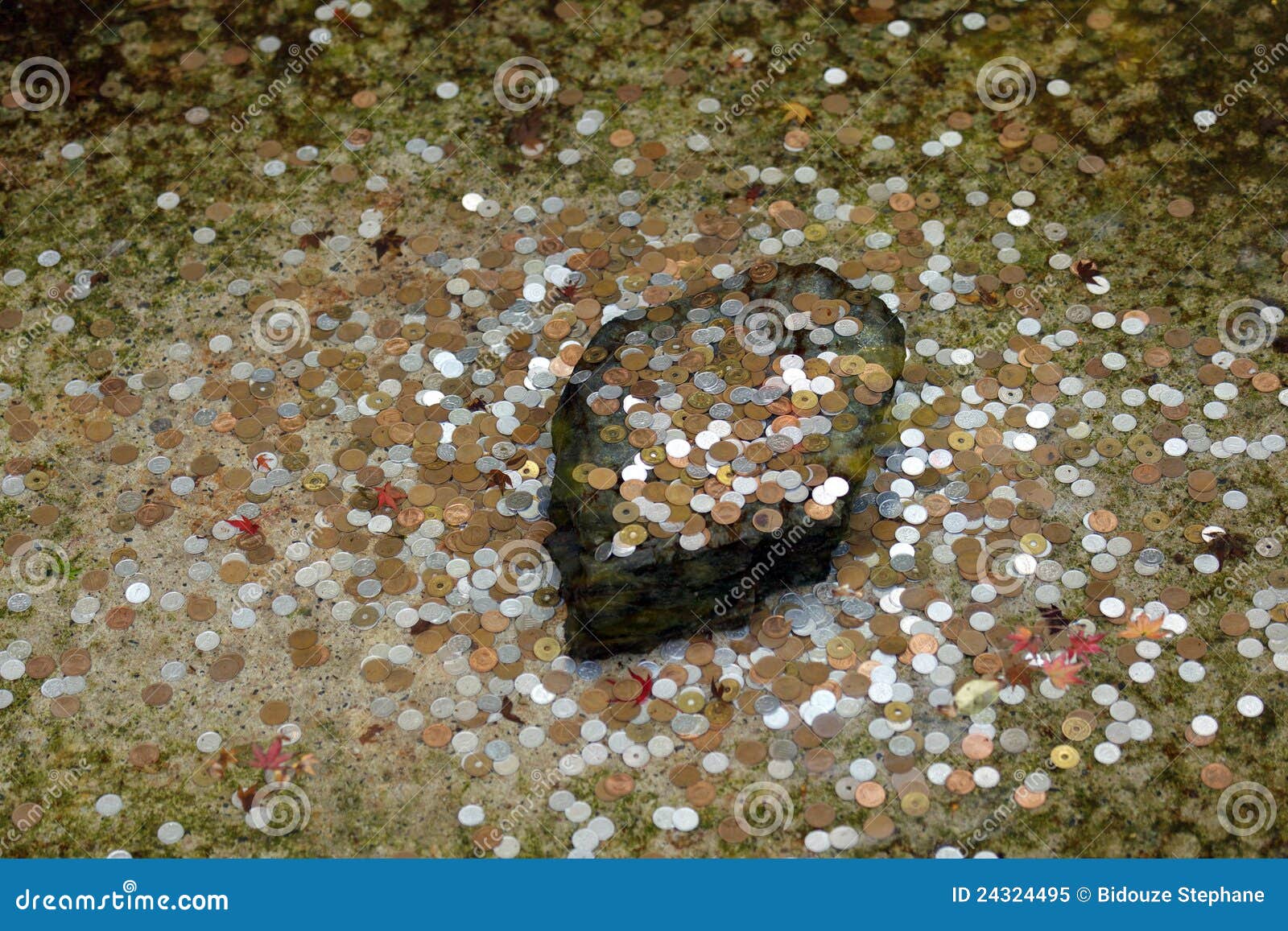 Coins in pond stock image. Image of banking, currency - 24324495