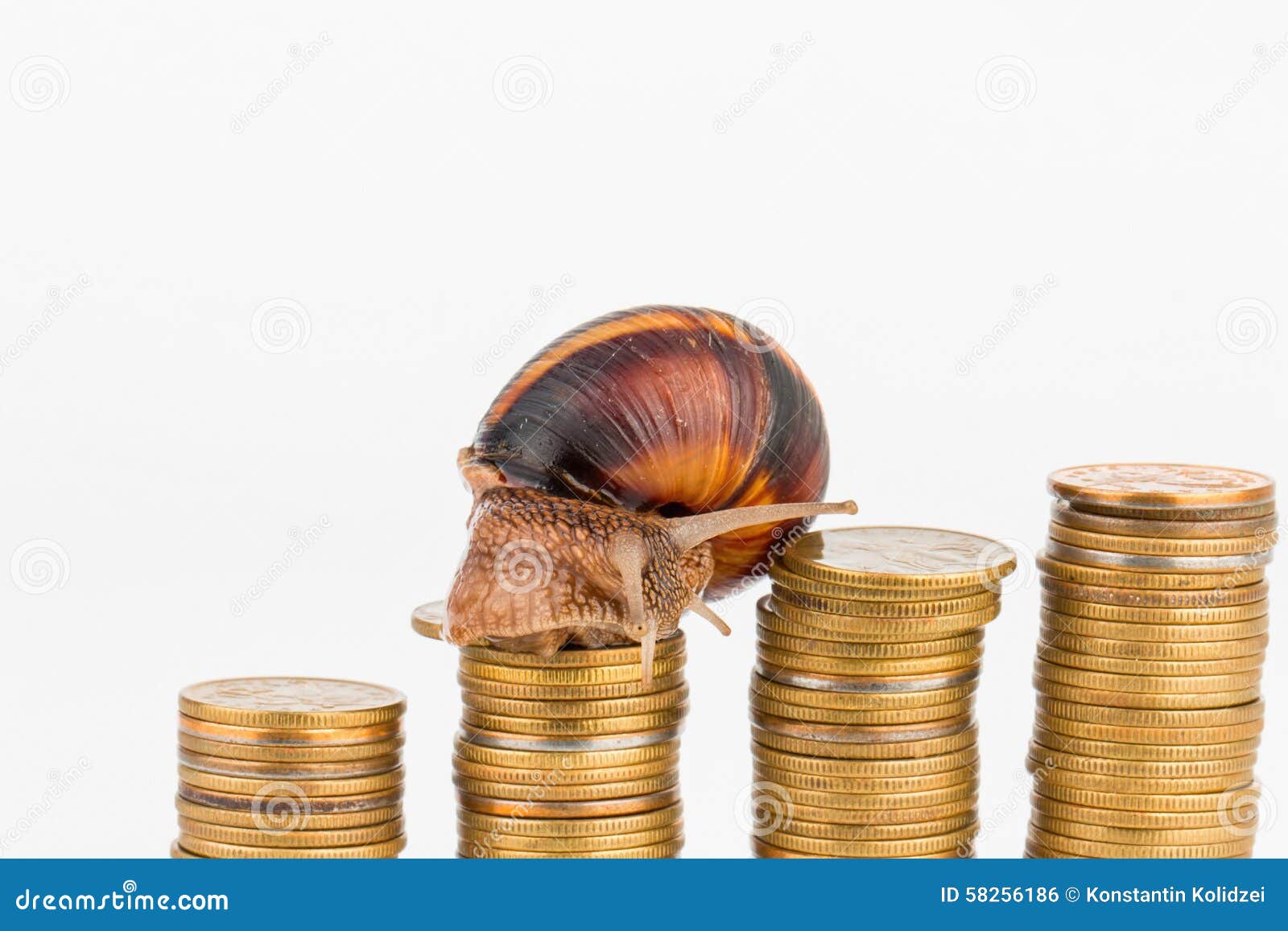 Coins and snail. stock photo. Image of gold, brown, savings - 58256186