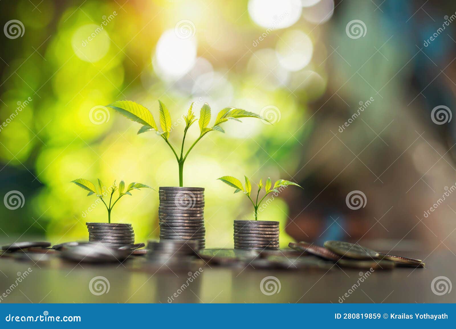 Coins Stack with Step Growing Plant and Sunshine Background. Concept ...