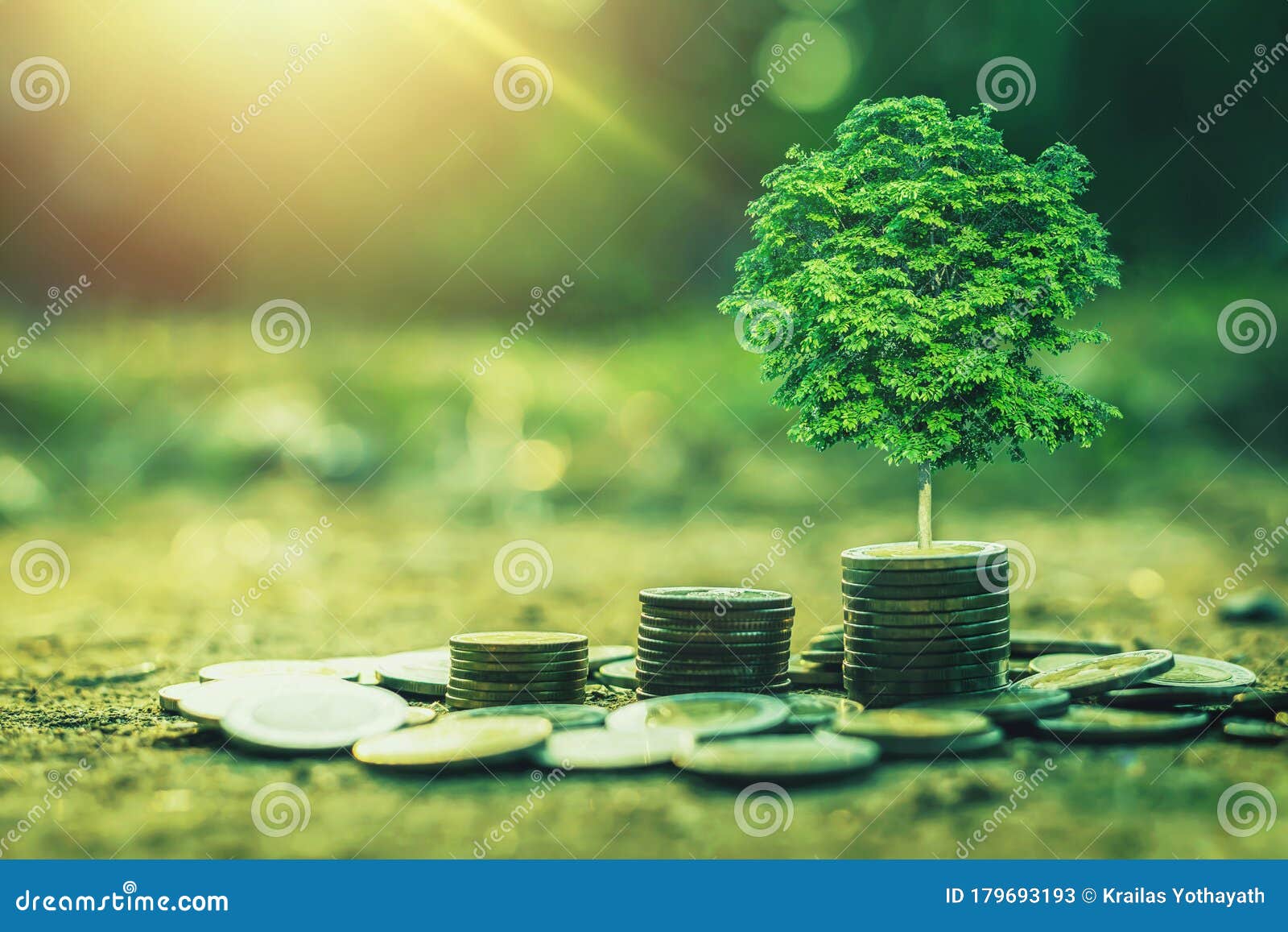 Coins Stack with Step Growing Plant and Sunshine Background. Concept ...