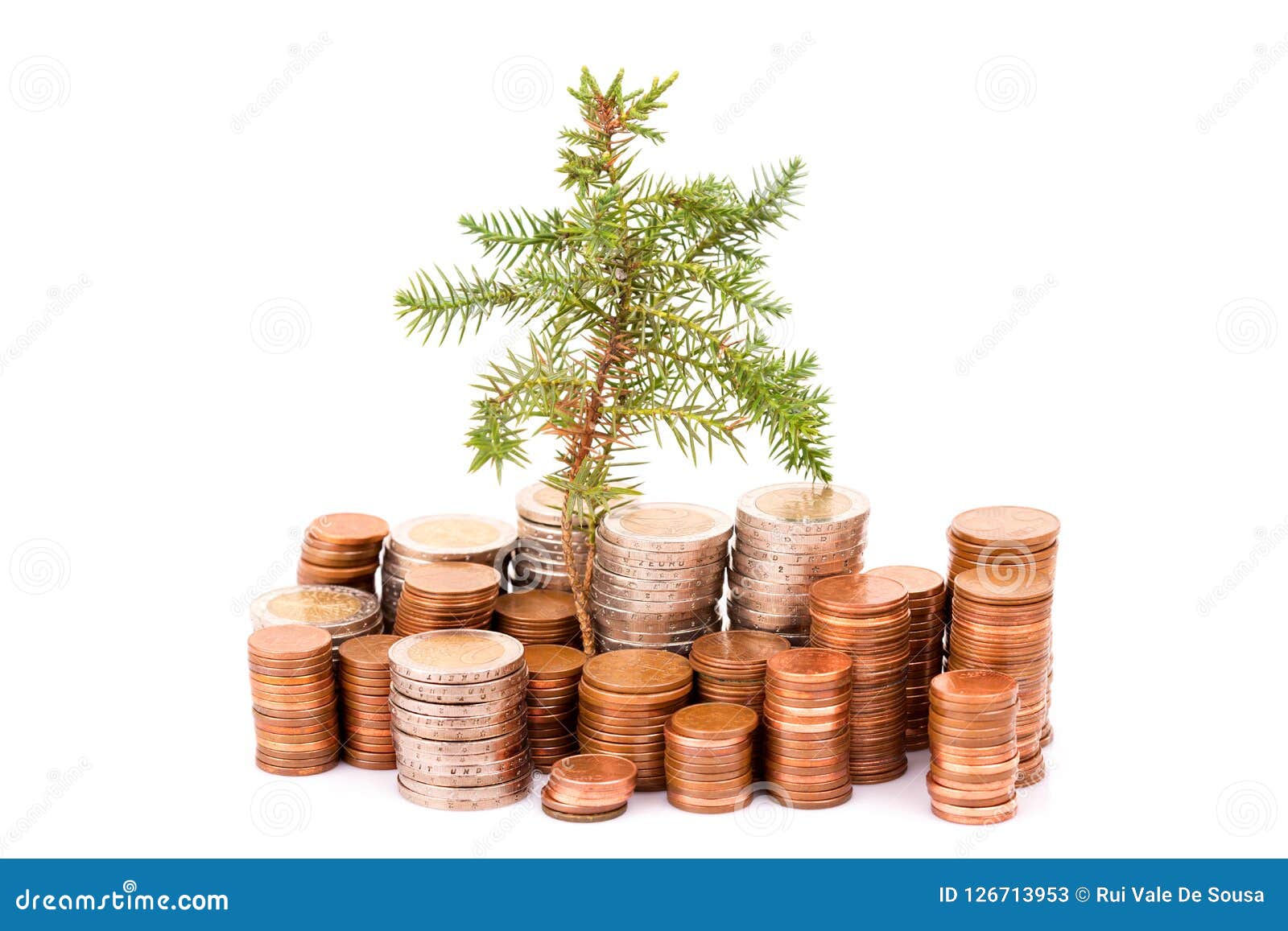 Coins and tree stock image. Image of grow, interest - 126713953