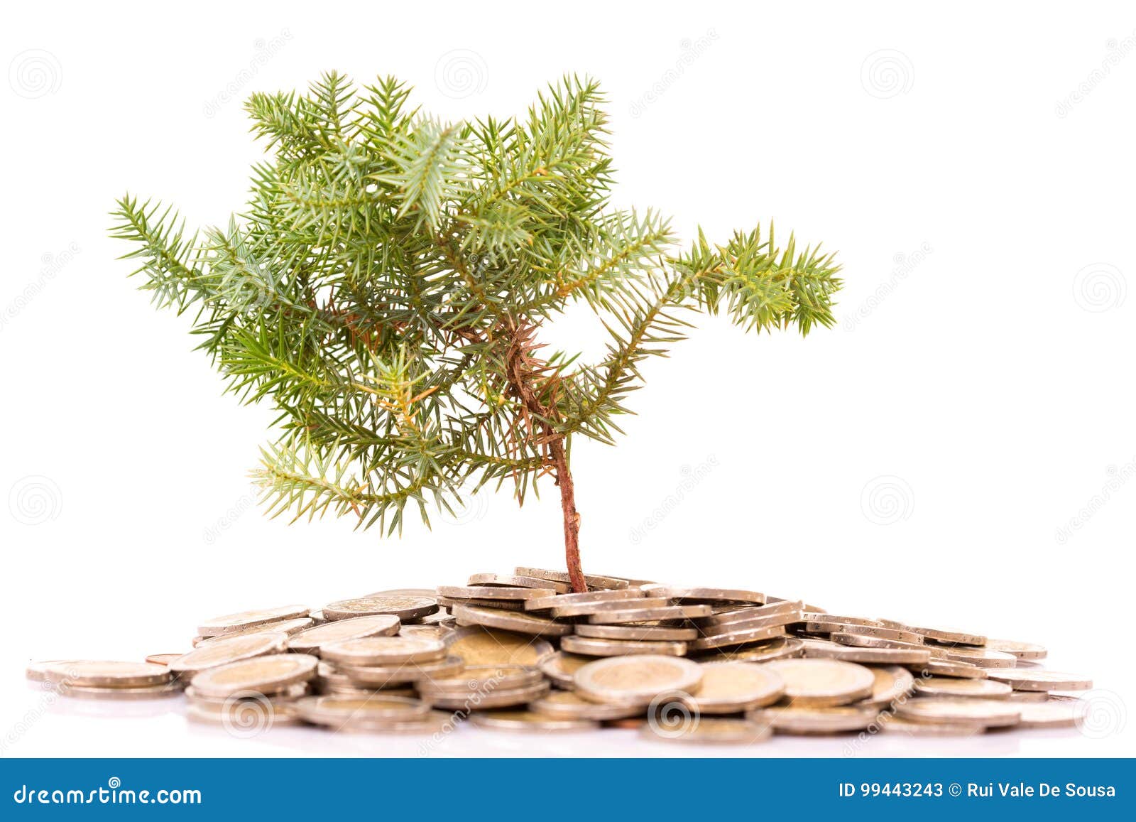 Coins and tree stock image. Image of care, cash, growth - 99443243