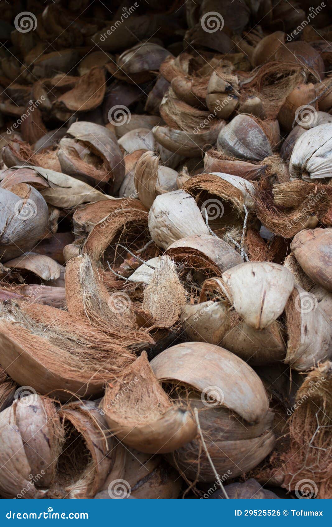 Coir stock photo. Image of brown, natural, fiber, coir - 29525526