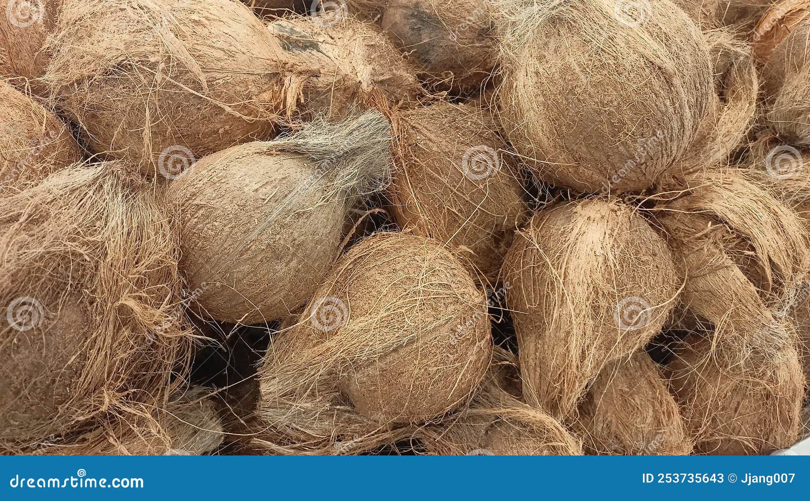 Coir Coconut Fibre Natural Material Husk Stock Image - Image of grass ...
