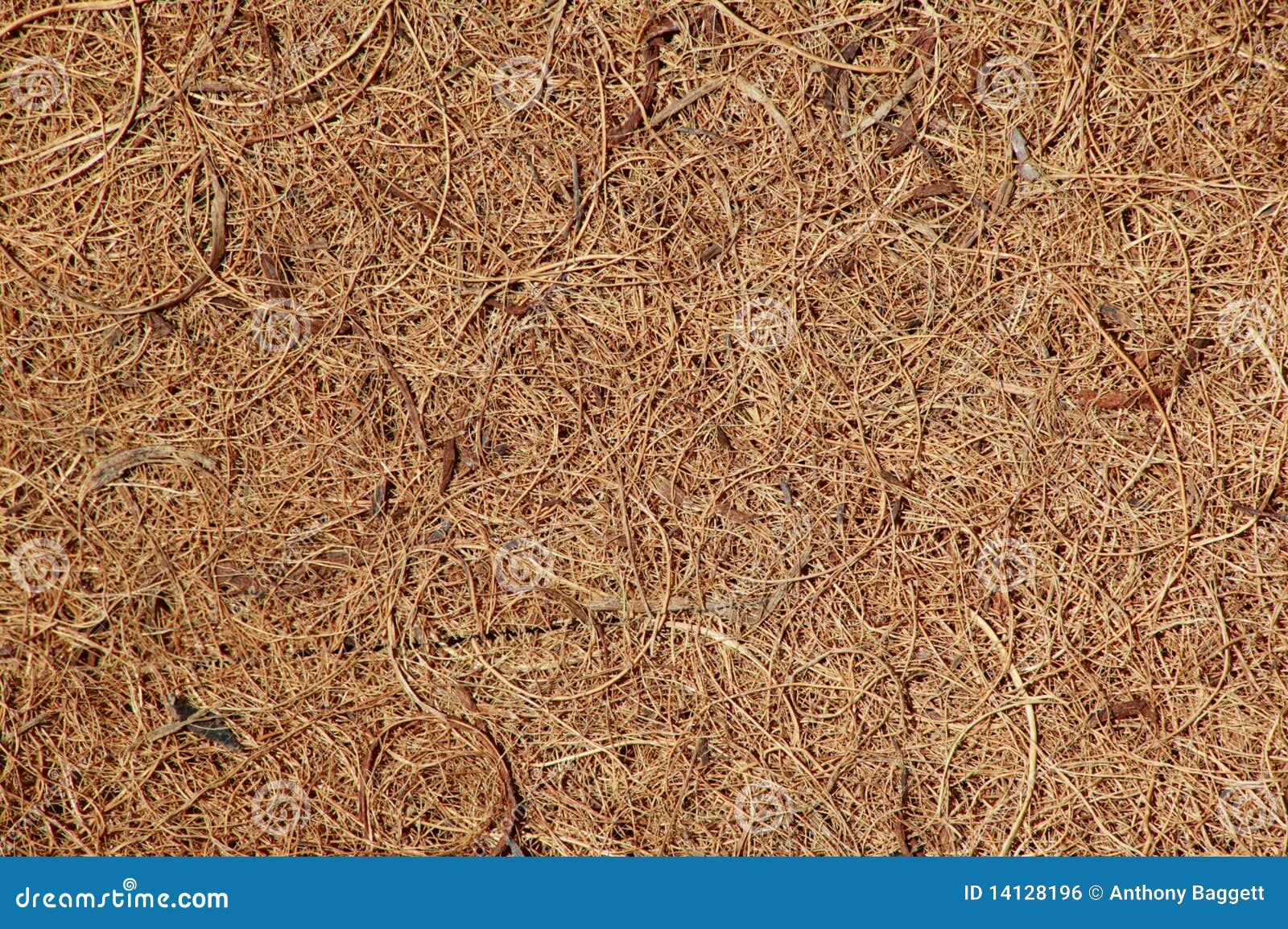 Coir matting stock photo. Image of lining, pattern, palm - 14128196