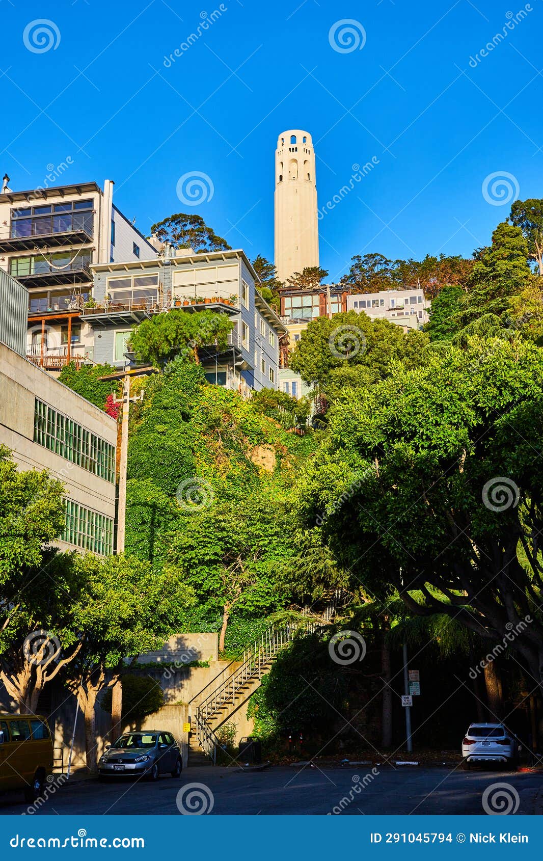 Coit Tower from Bottom of Hill with Steps Surrounded by Trees Leading ...