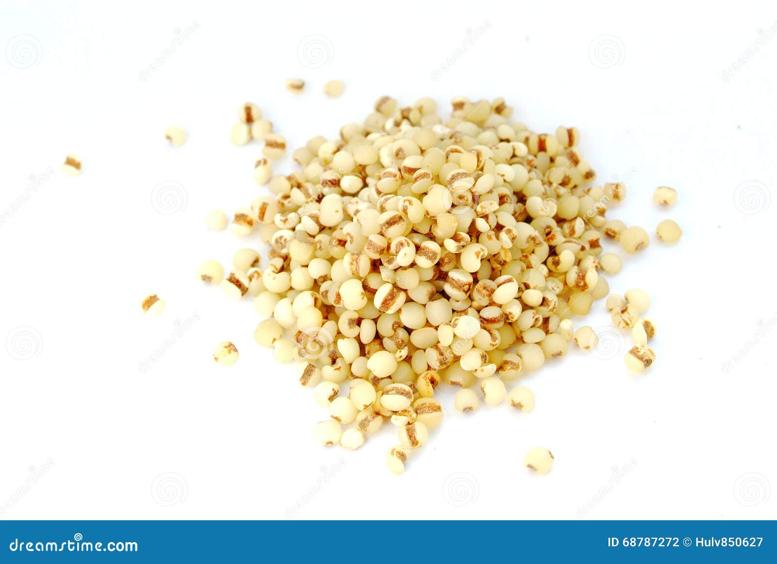 Coix chinensis Tod. rice stock photo. Image of diet, dieting - 68787272