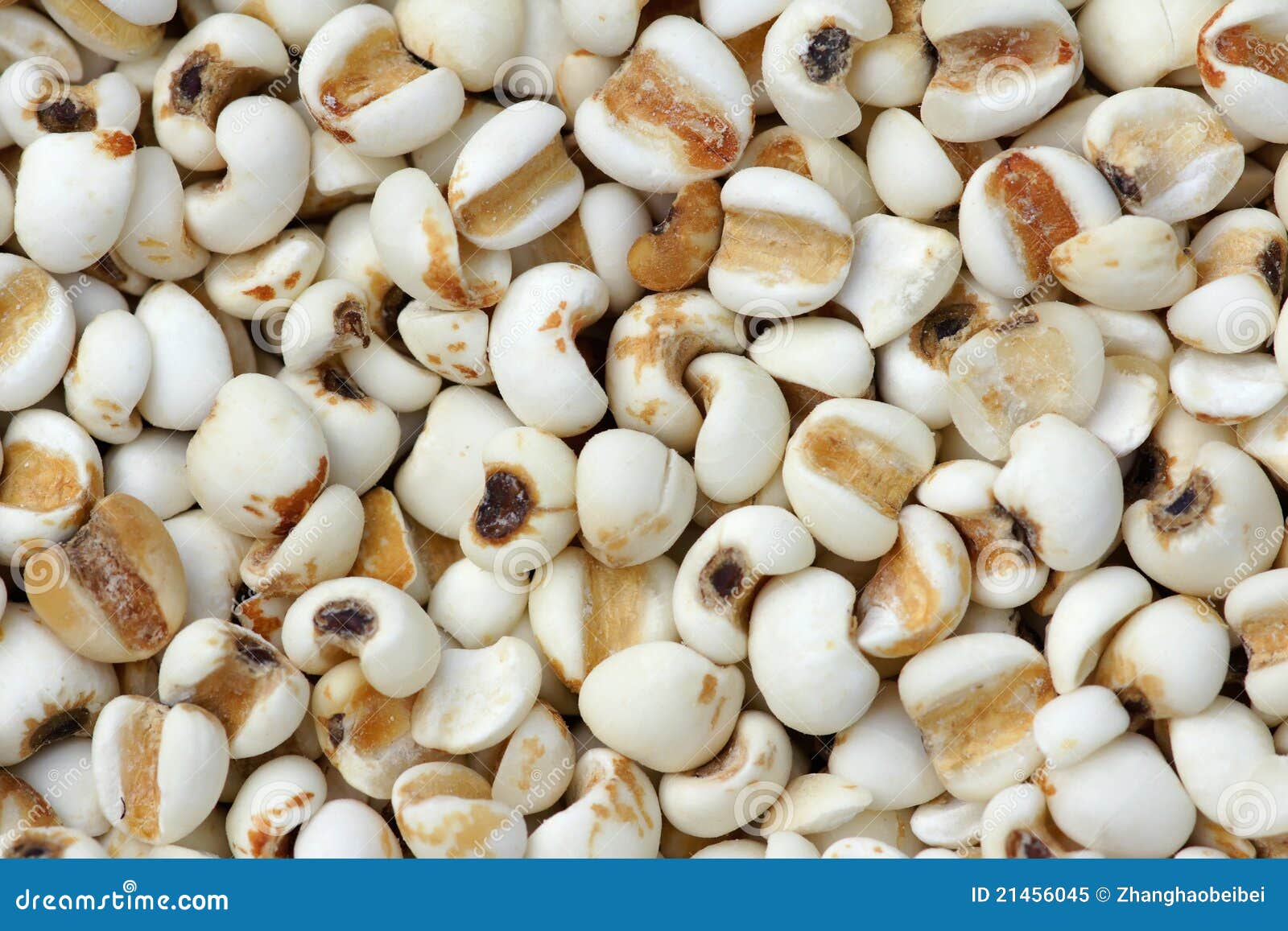 Kerne Stock-Fotos - Laden Sie 28,791 Royalty-Free Fotos herunter