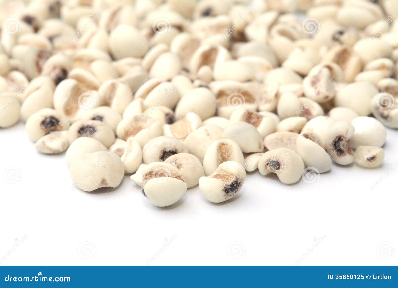 Coix seed isolated stock image. Image of colorful, herb - 35850125