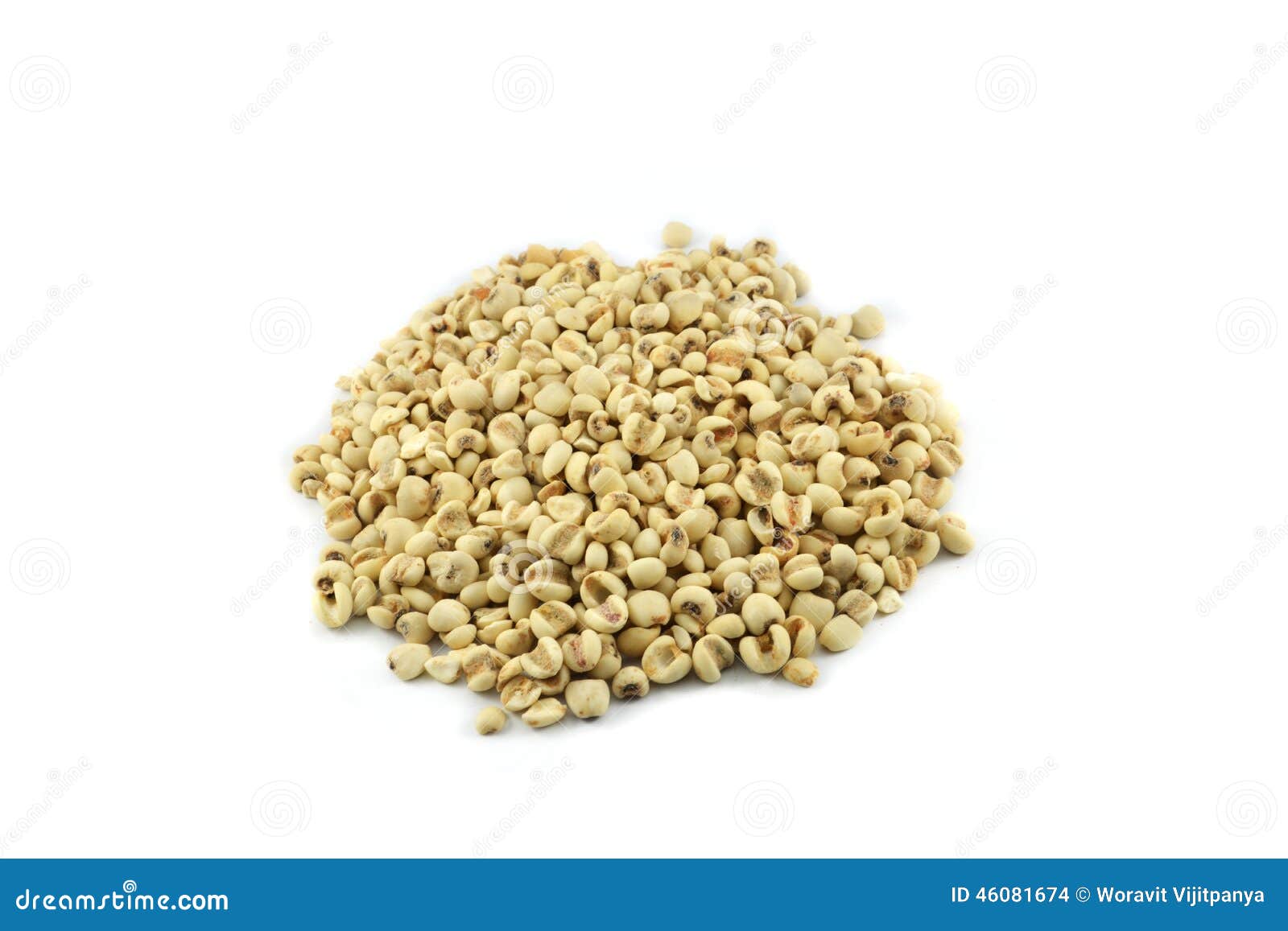Coix seed stock photo. Image of vitamin, cereal, plant - 46081674