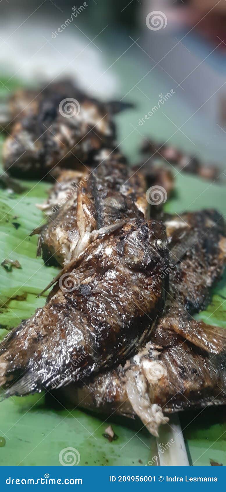 Coking Grilled Tilapia Fish Stock Image - Image of cushy, food: 209956001