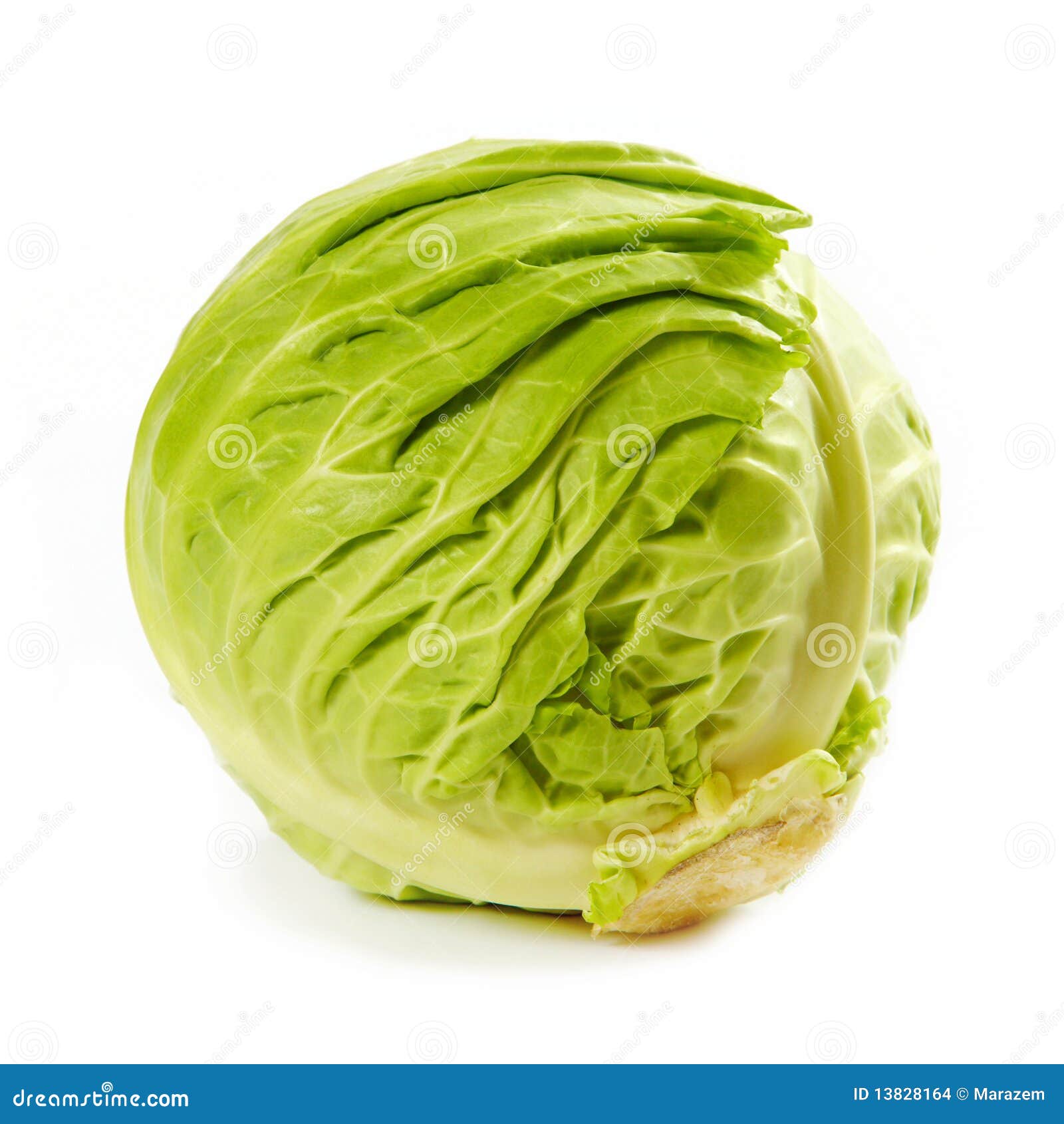 Col Imagen. Imagen: 13828164