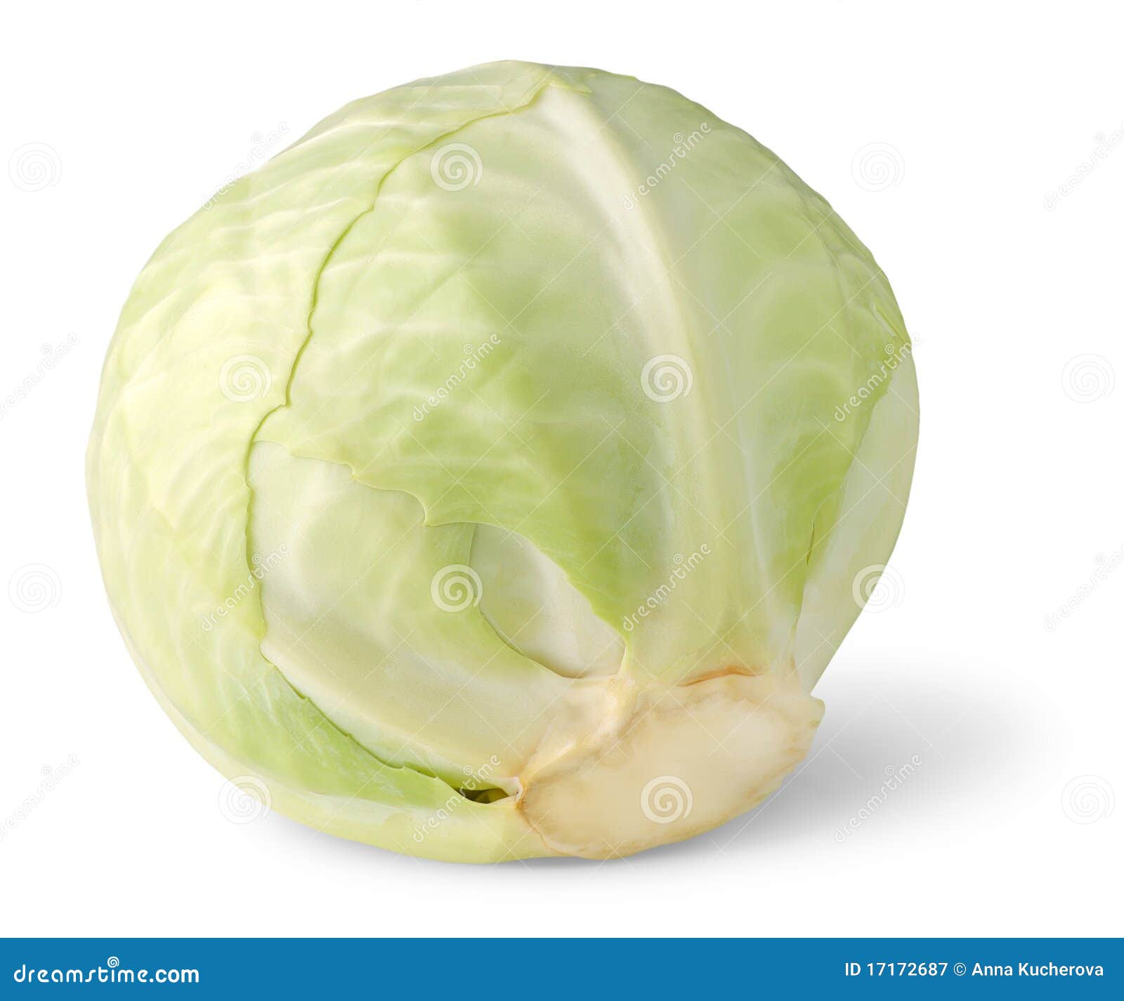 Col imagen de archivo. Imagen de crudo, objeto, salir - 17172687