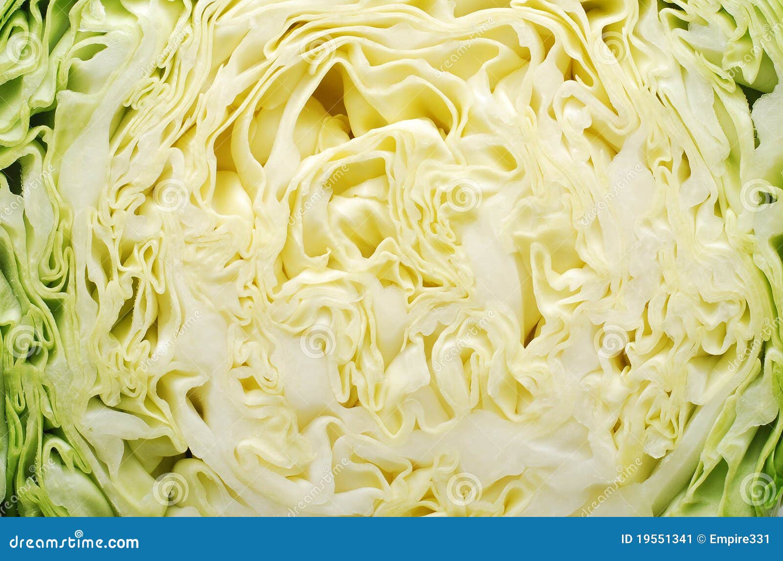 Col imagen de archivo. Imagen de alimento, ingrediente - 19551341