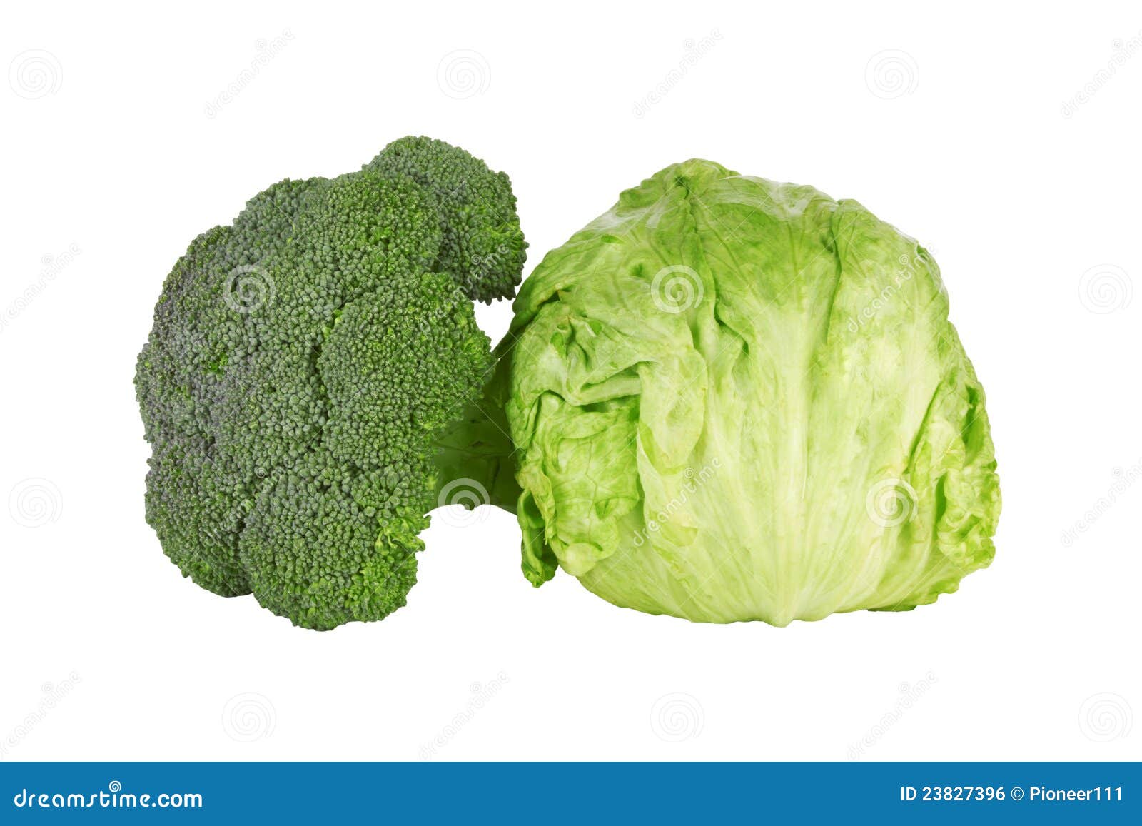 Col foto de archivo. Imagen de comidas, maduro, comer - 23827396