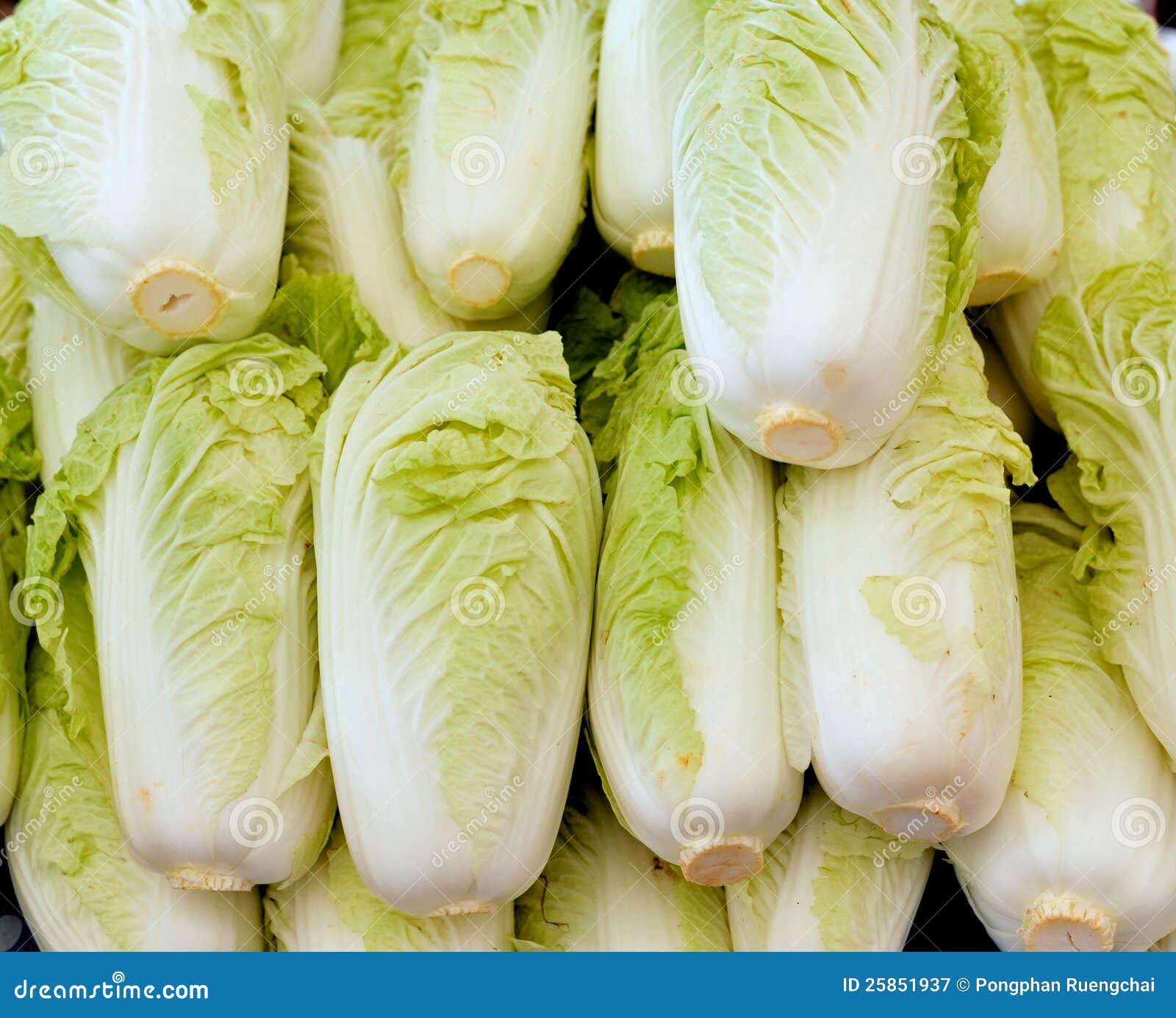 Col imagen de archivo. Imagen de fondos, pila, mercado - 25851937