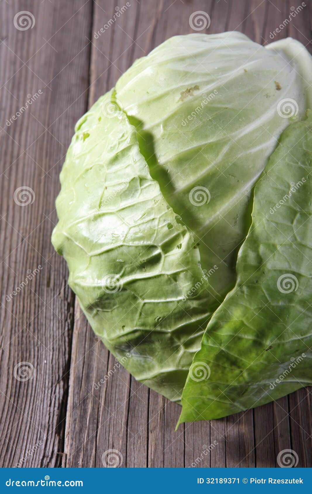 Col imagen de archivo. Imagen de jugoso, blanco, fresco - 32189371