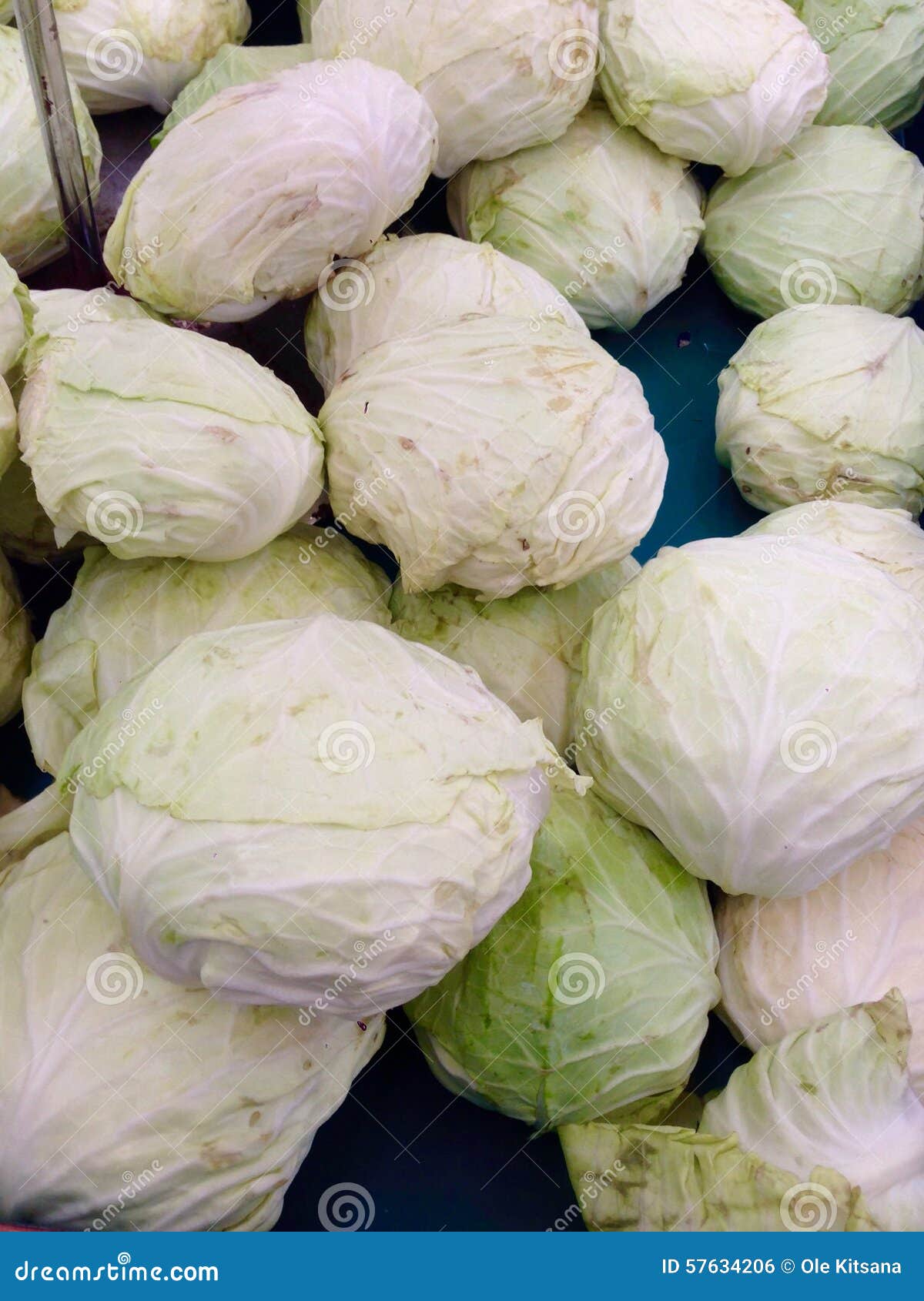 Col foto de archivo. Imagen de imagen, mercado, venta - 57634206