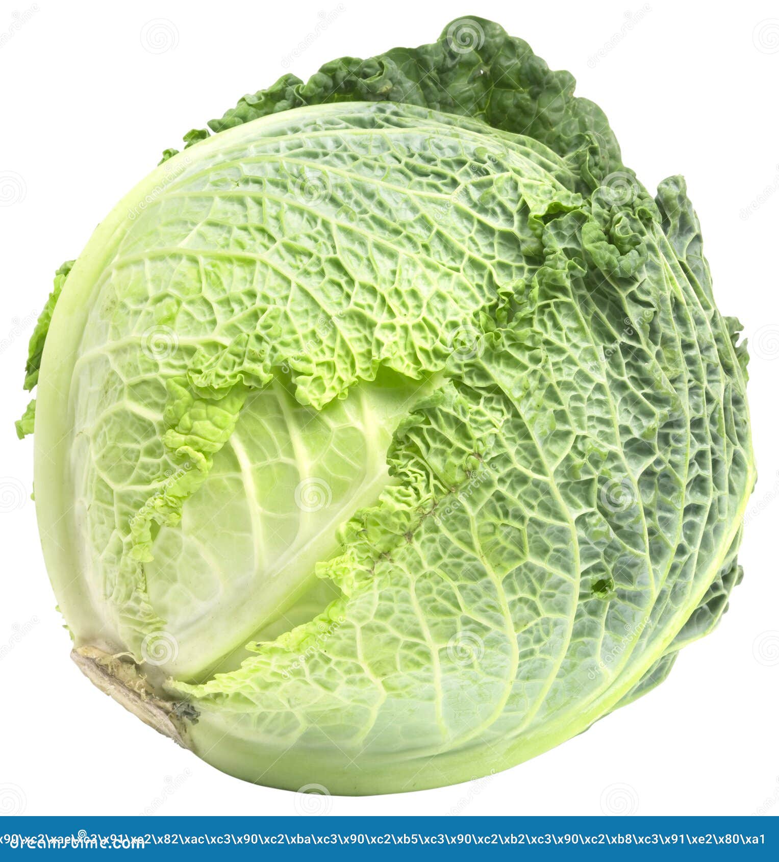 Col imagen de archivo. Imagen de blanco, salud, frescura - 6580003