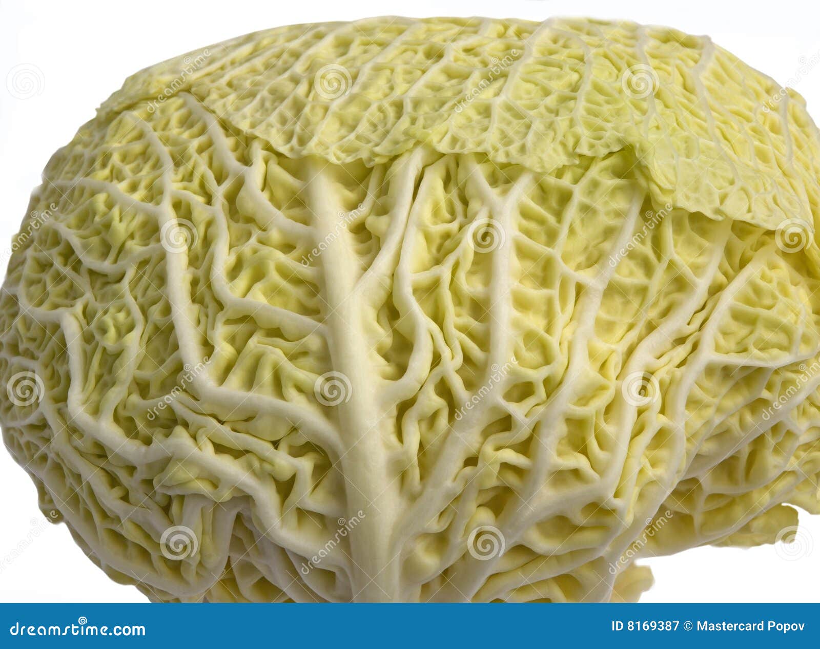 Col imagen de archivo. Imagen de hojas, alimentos, blanco - 8169387