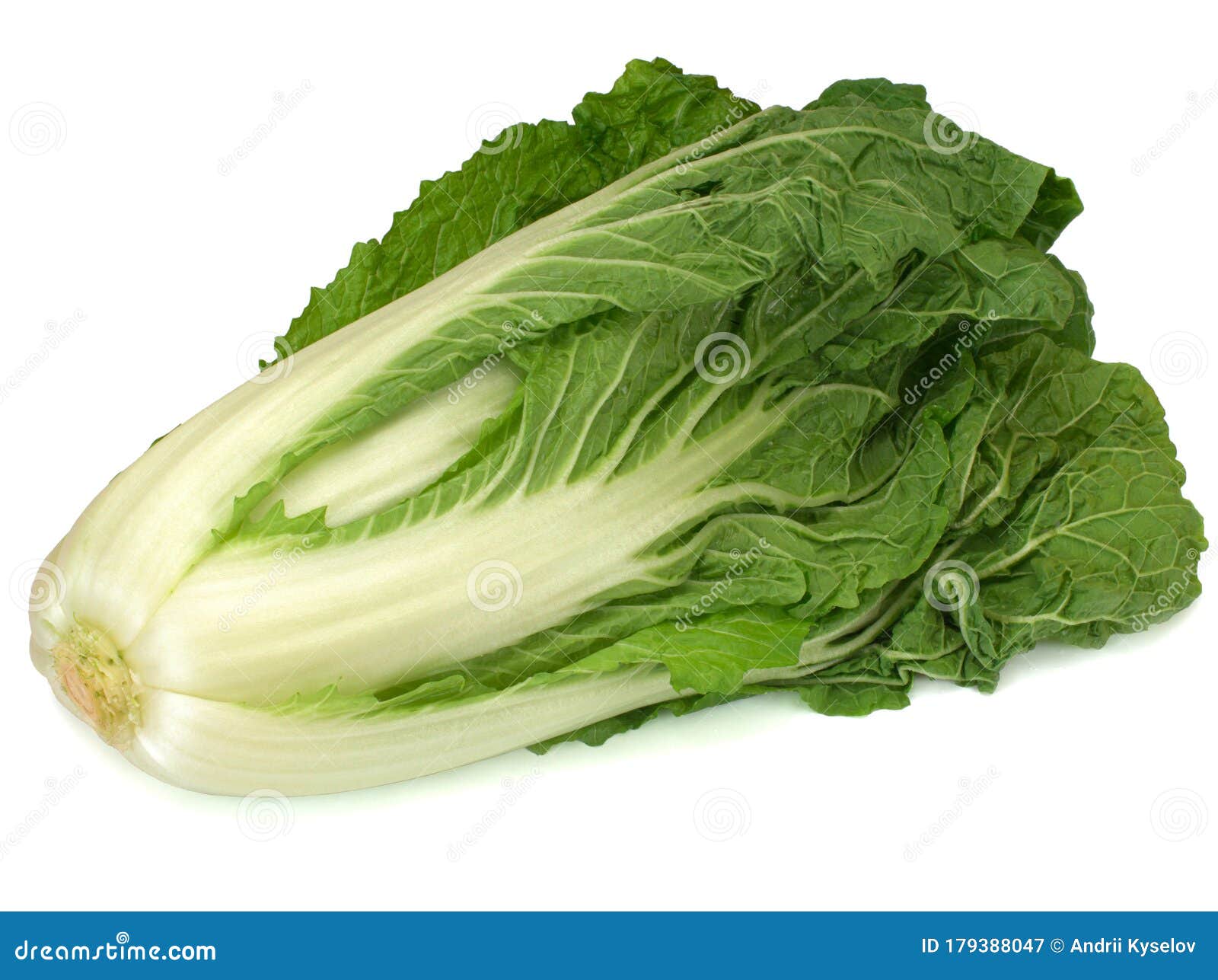 Col China Aislada En Fondo Blanco Imagen de archivo - Imagen de fondo ...