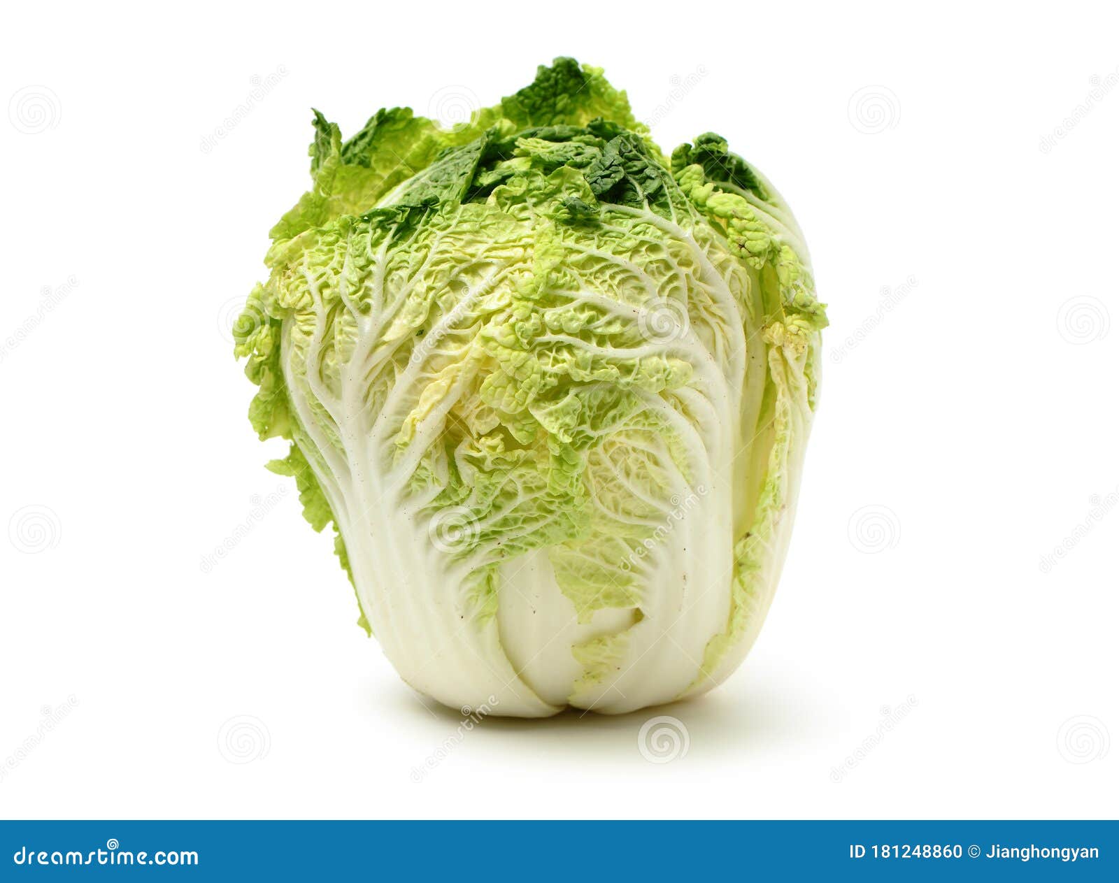 Col chino foto de archivo. Imagen de truncamiento, tiro - 181248860