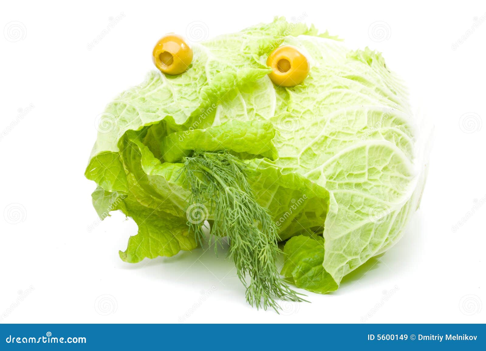 Col de apio fresca imagen de archivo. Imagen de chino - 5600149