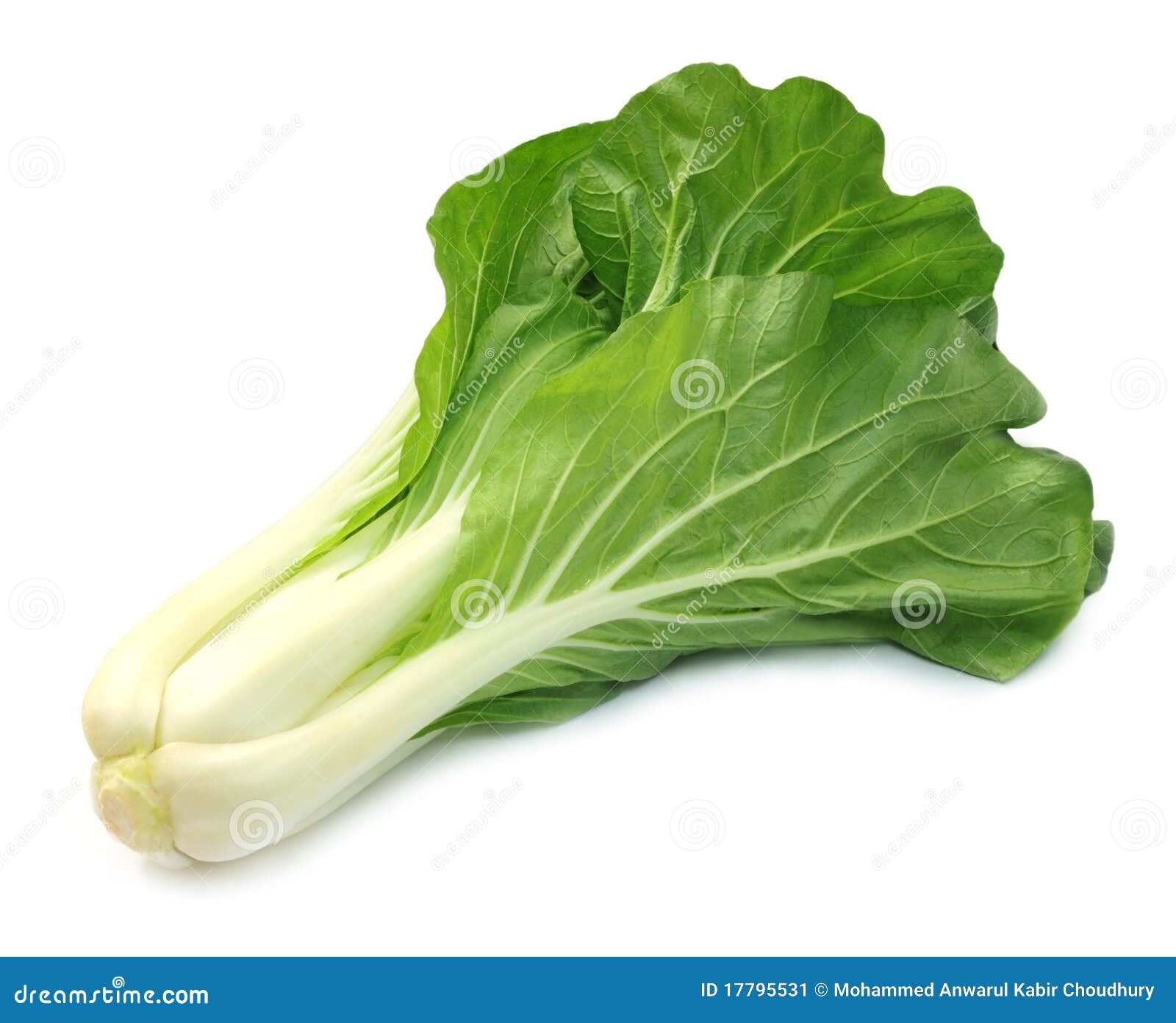 Col de China imagen de archivo. Imagen de fresco, travieso - 17795531