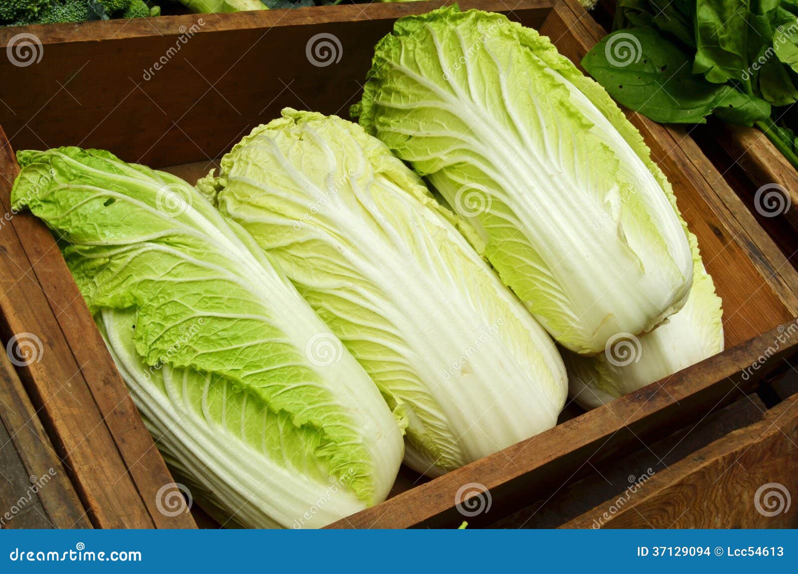 Col de China foto de archivo. Imagen de venta, vegetariano - 37129094