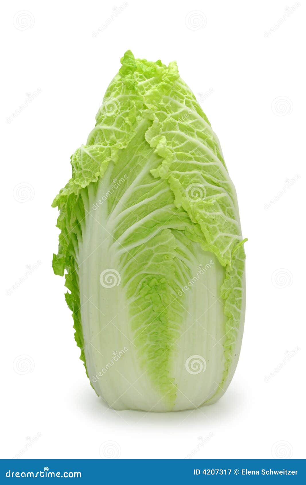 Col de China imagen de archivo. Imagen de chino, crudo - 4207317