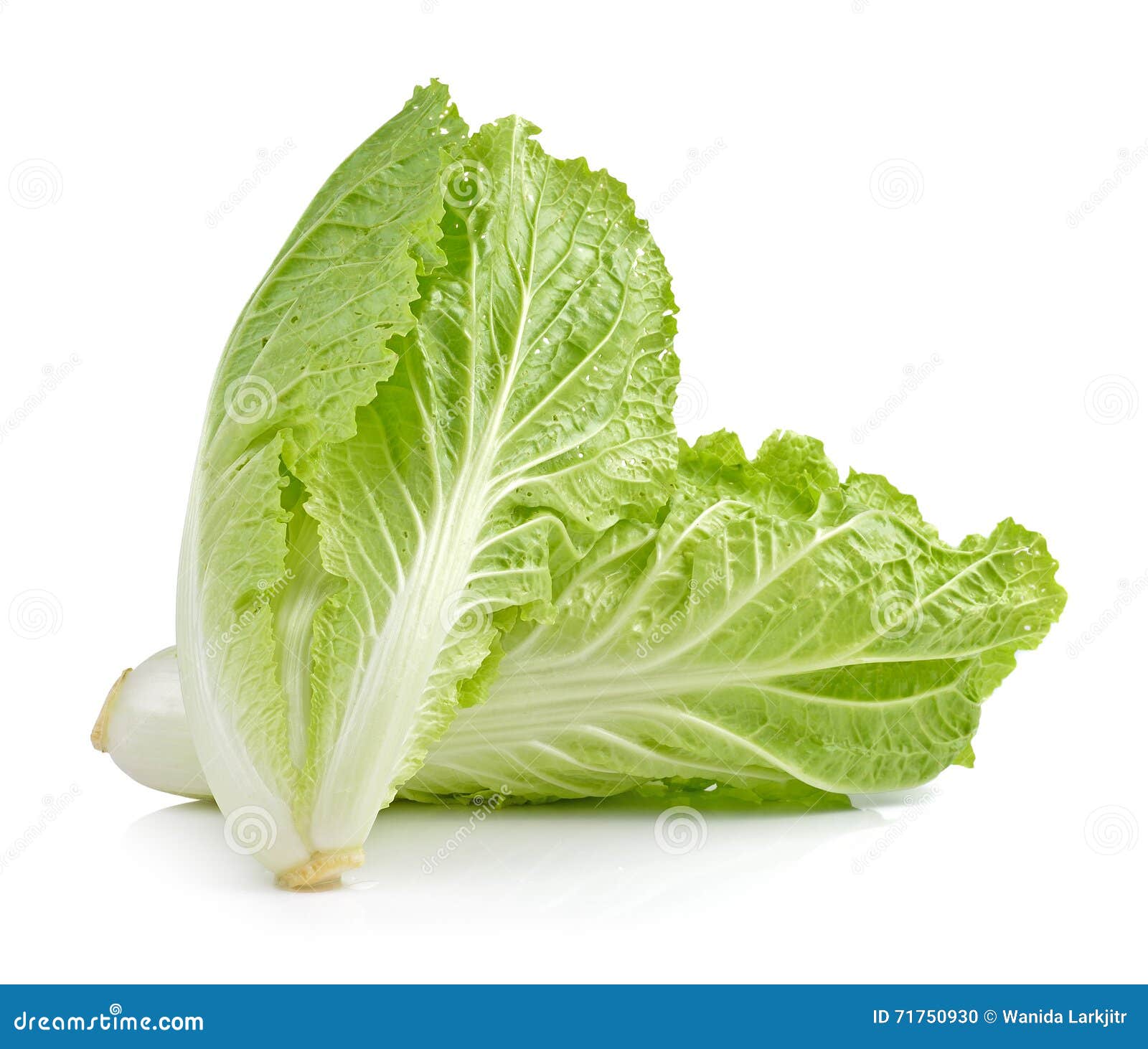 Col De China Aislada En El Fondo Blanco Foto de archivo - Imagen de ...