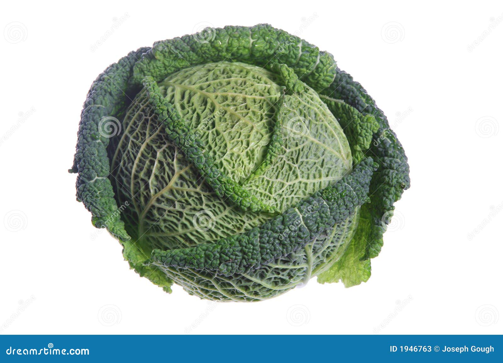 Col de col rizada imagen de archivo. Imagen de verde, ingrediente - 1946763